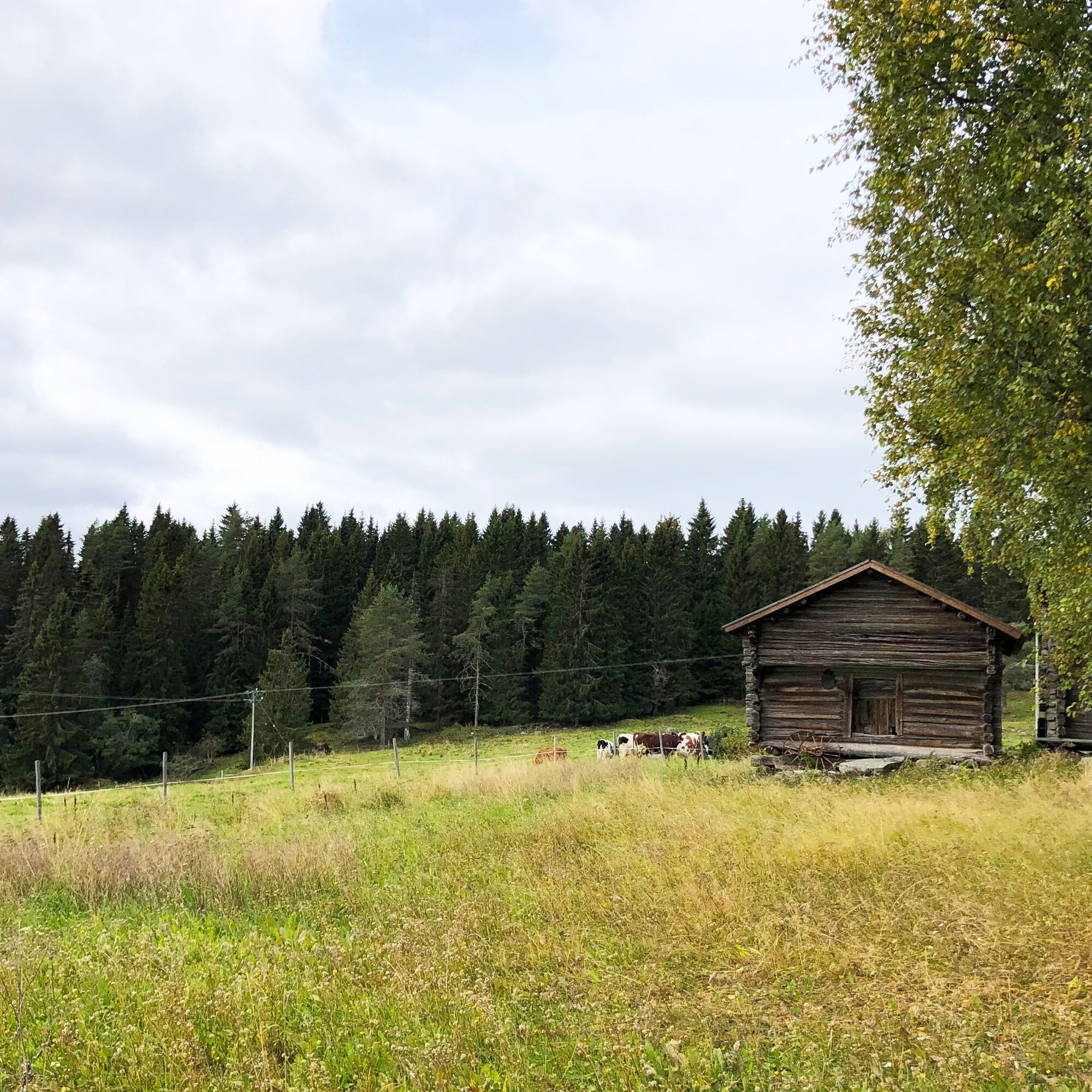 27 km in the traditional landscapes of Vaarankylä and Melalahti ...