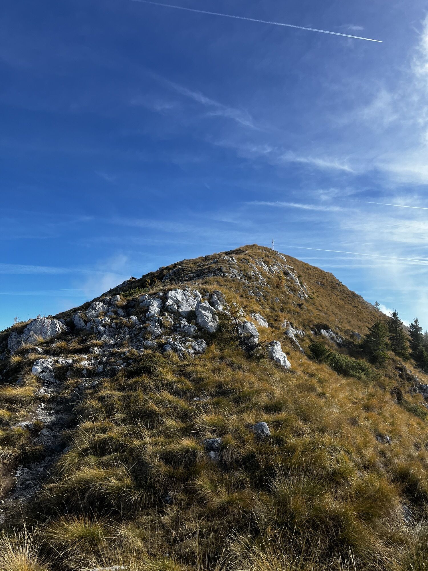 Freiberg - BERGFEX - Wanderung - Tour Kärnten