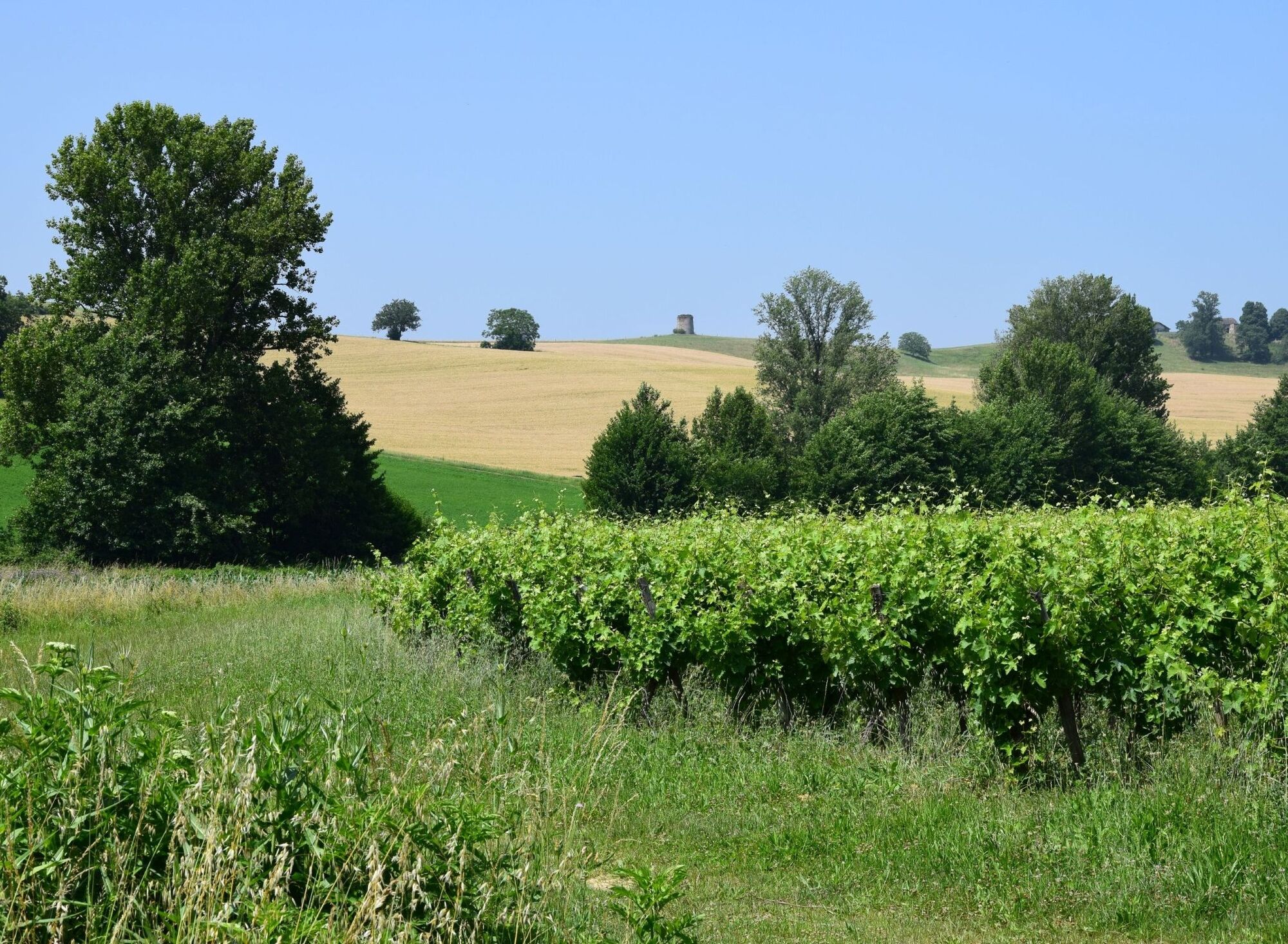 Sentier de la plaine - Wanderung Okzitanien - bergfex
