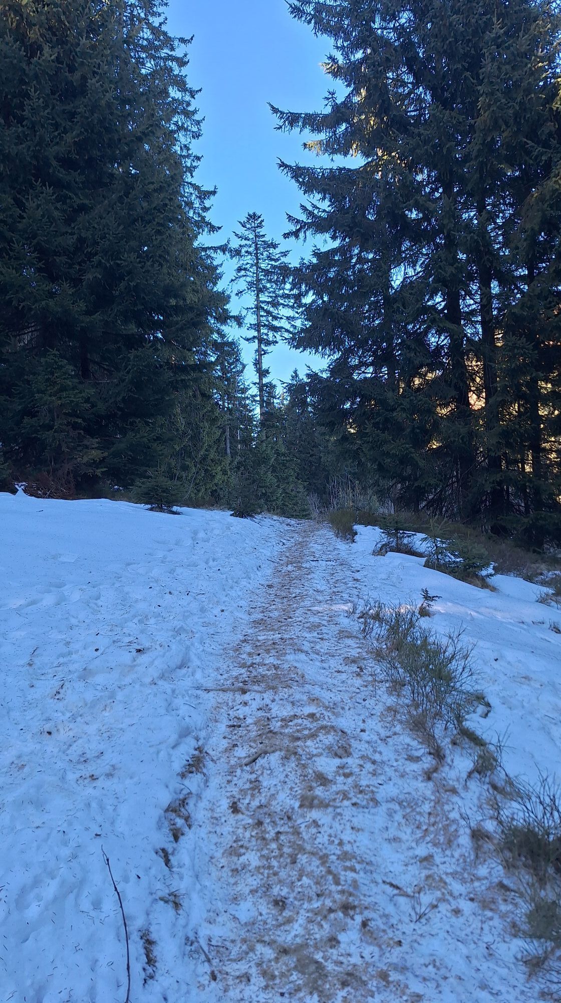 Jungholz, Tyrol/Austria - Bergwandern Tirol - bergfex