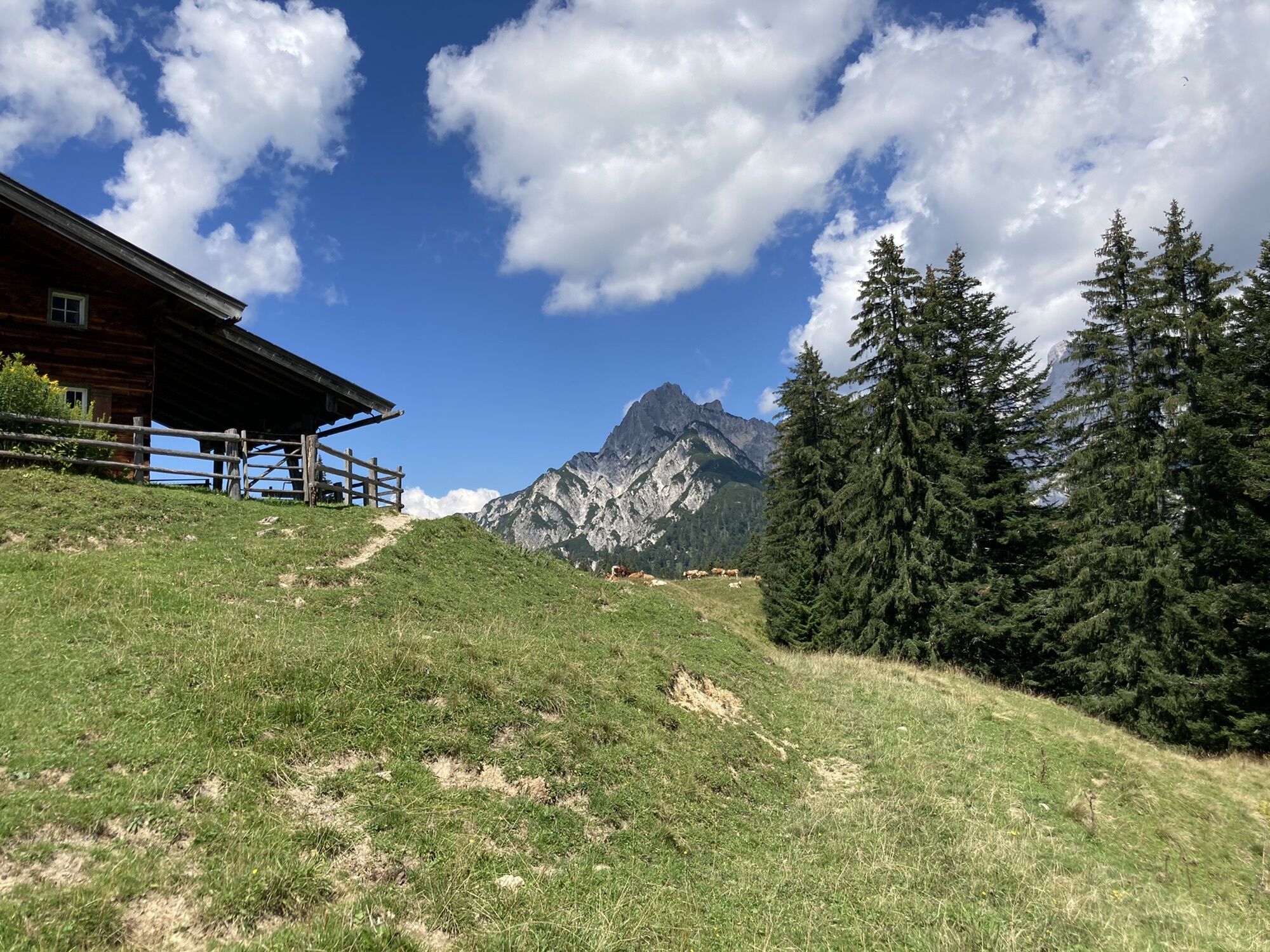 Klausbachtal zur Litzl Alm - BERGFEX - Senderismo - Excursión Bavaria