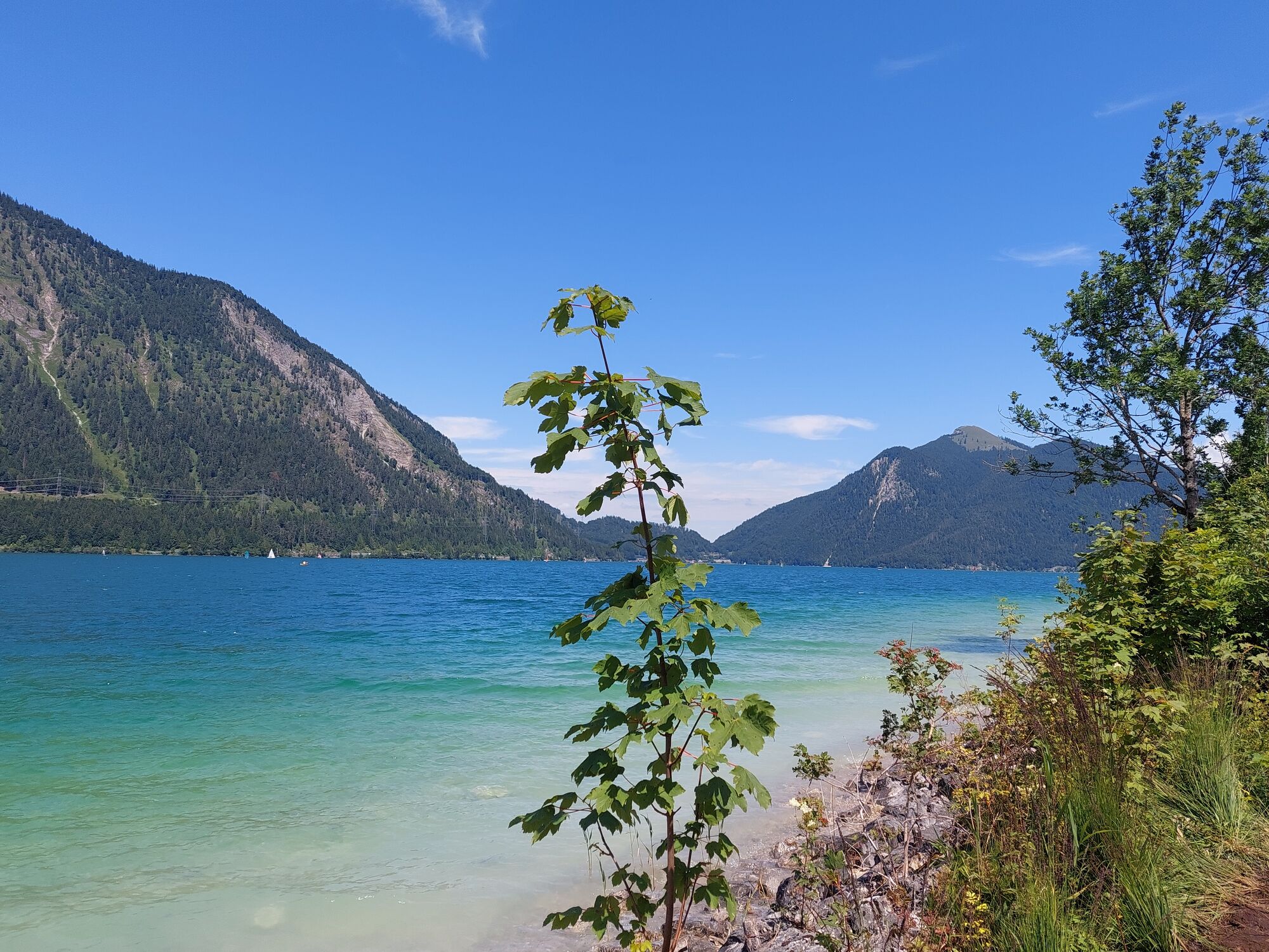 Rundgang über die Walchensee Halbinsel Walchensee - BERGFEX - Wanderung ...