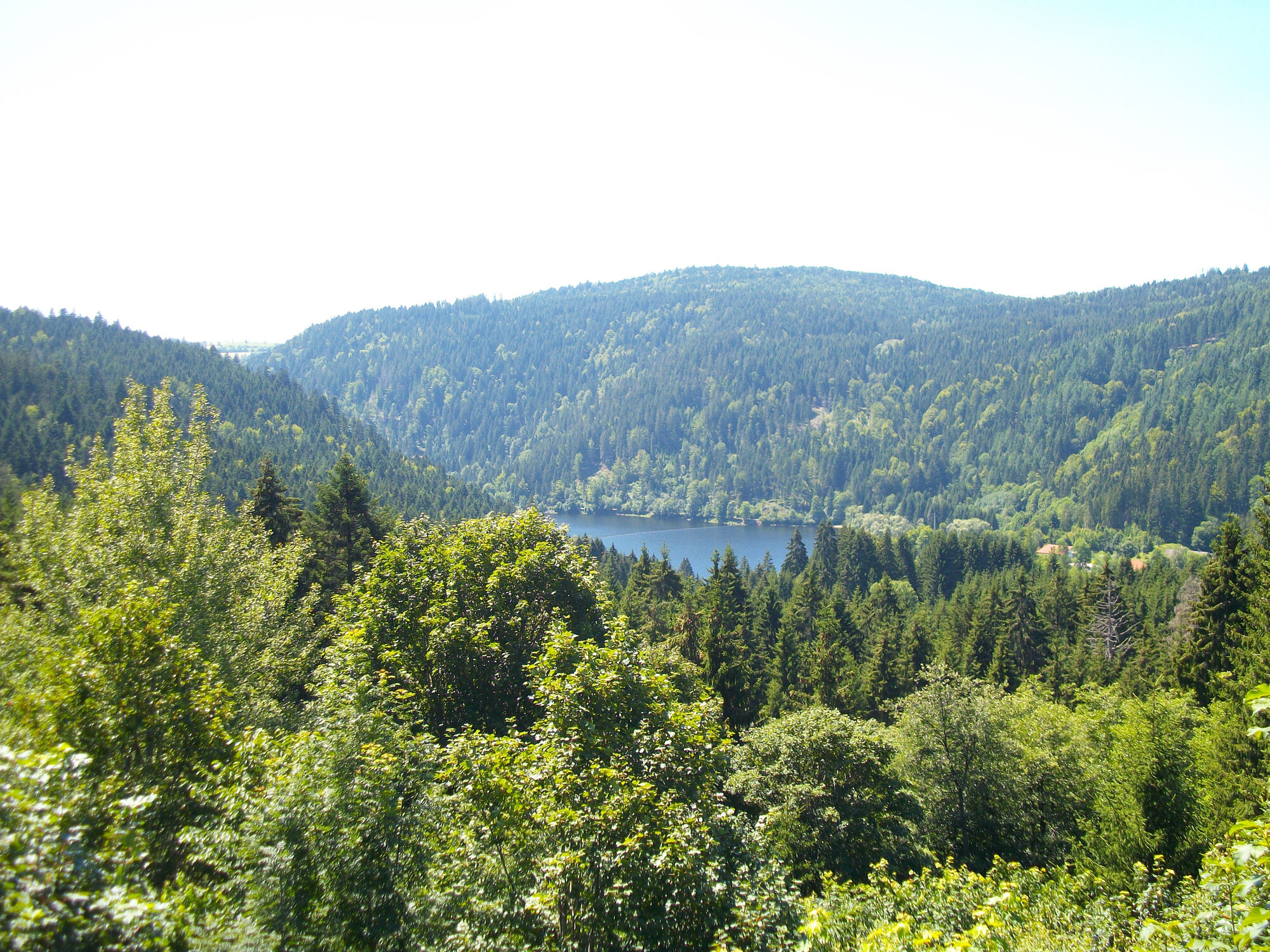 Dachsberg: Von Urberg in die Domstadt - BERGFEX - Wanderung - Tour ...