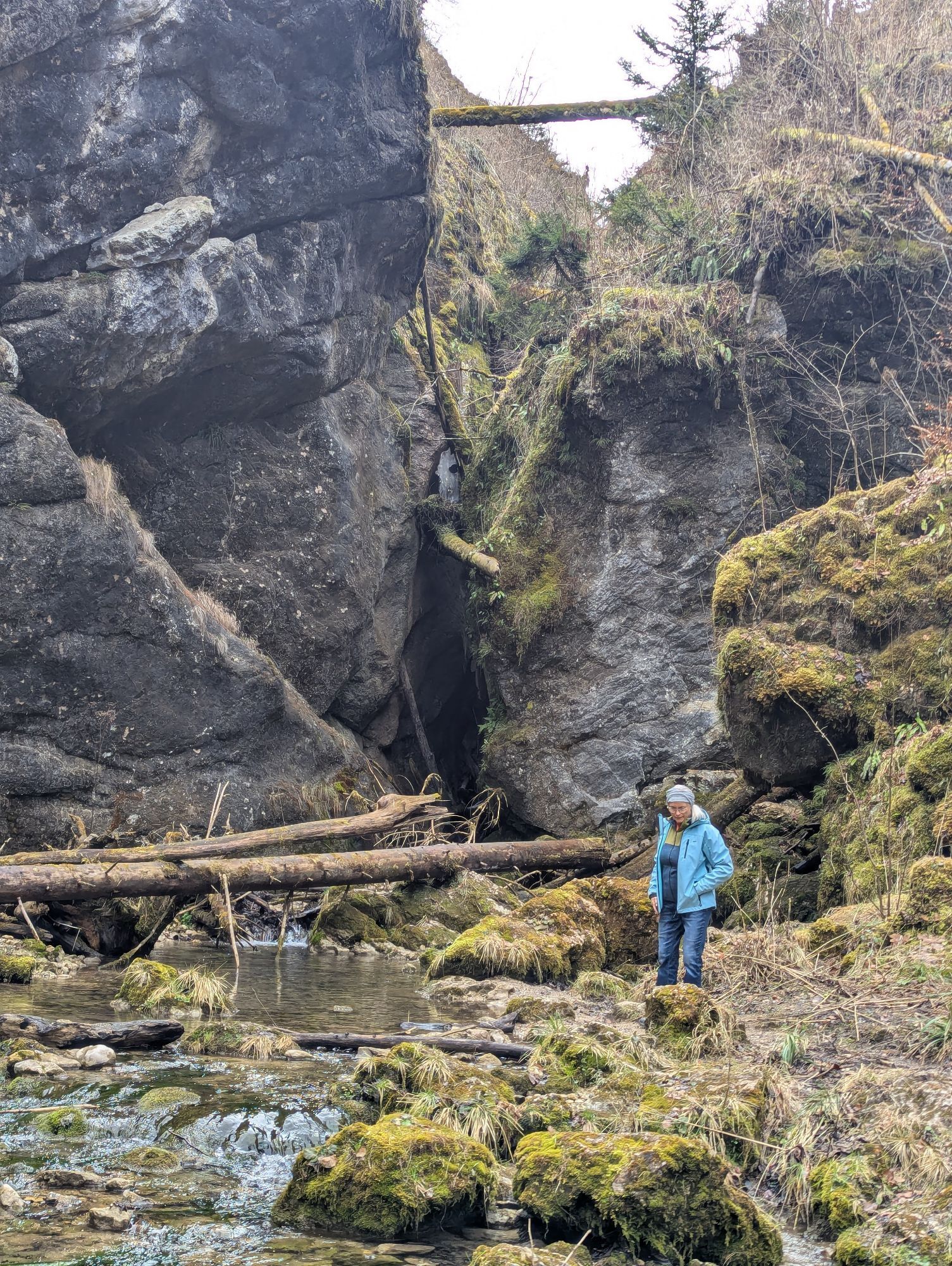Rinnerberger Wasserfall - Klamm - BERGFEX - Wanderung - Tour Oberösterreich