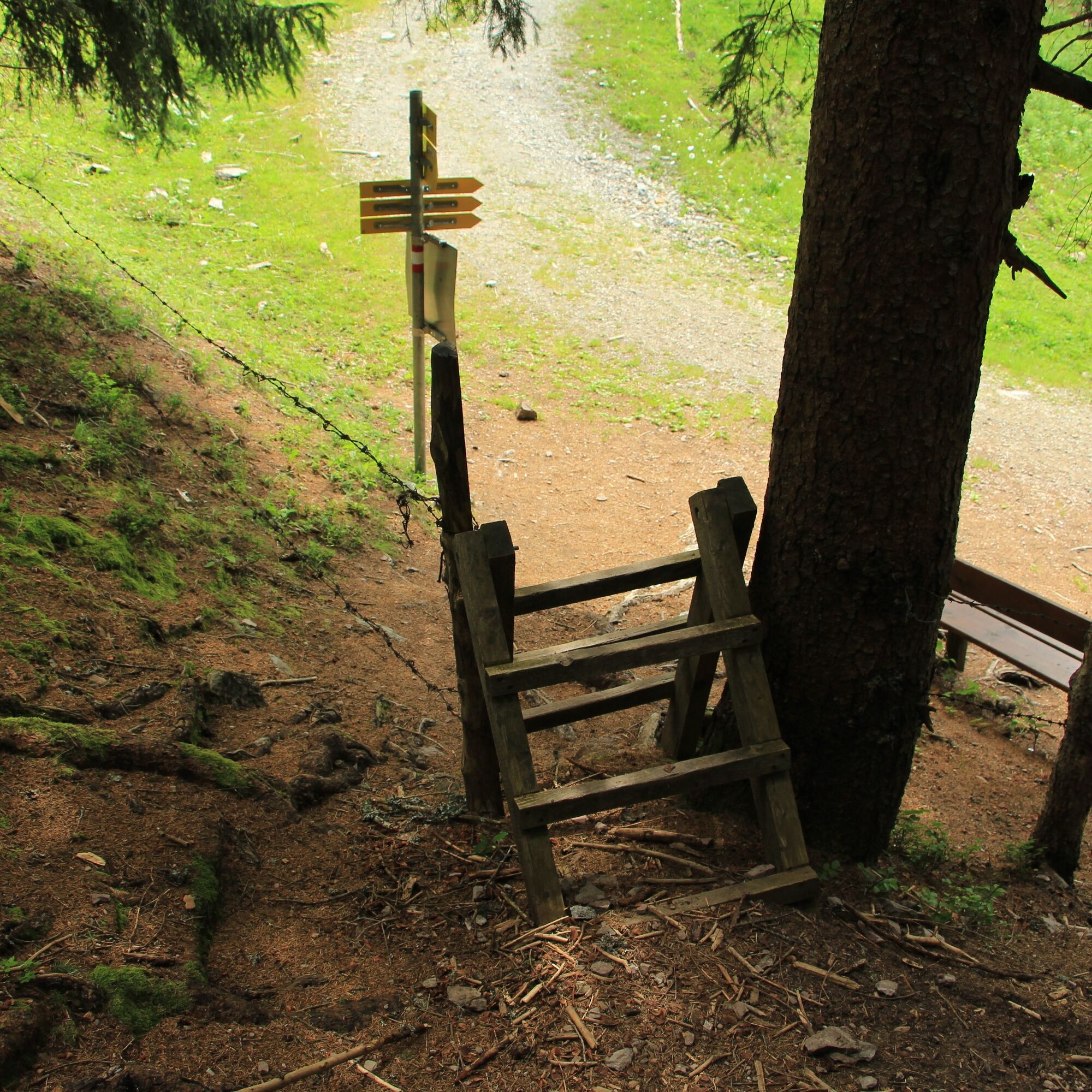 Über die Poschalm zur Mußbachalm - Wanderung Salzburger Land - bergfex