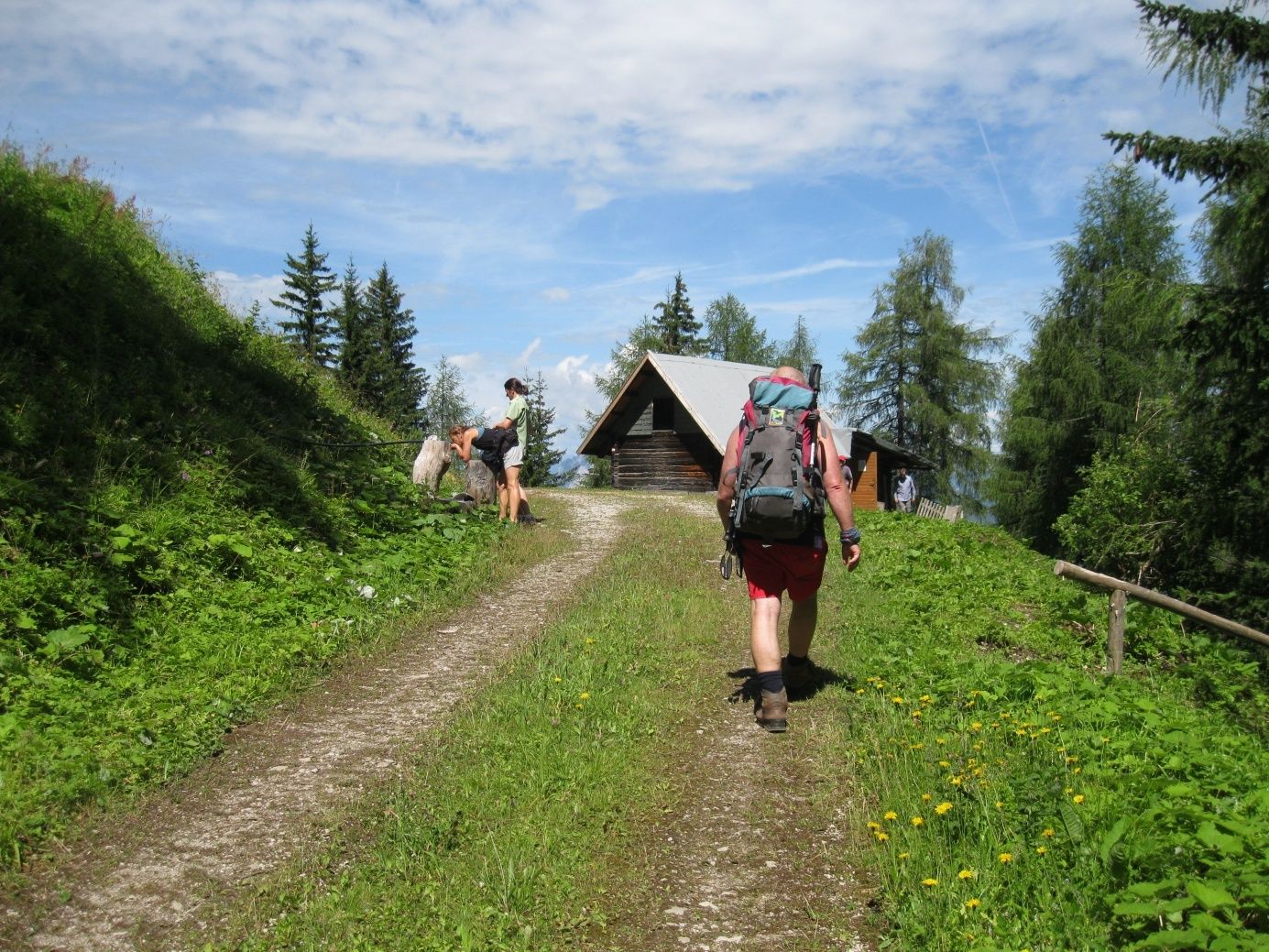 03 Südalpenweg, 18. Etappe: Ghf Baumgartner - Wurzenpass - BERGFEX ...
