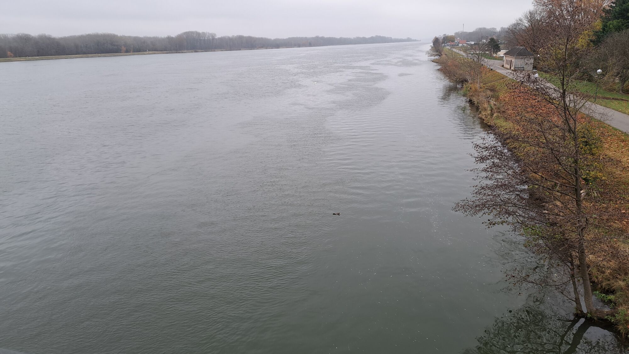 TULLN Nord Donaubrücke Donau Tulln Ost ret. 20251115 - Wandelen Neder ...