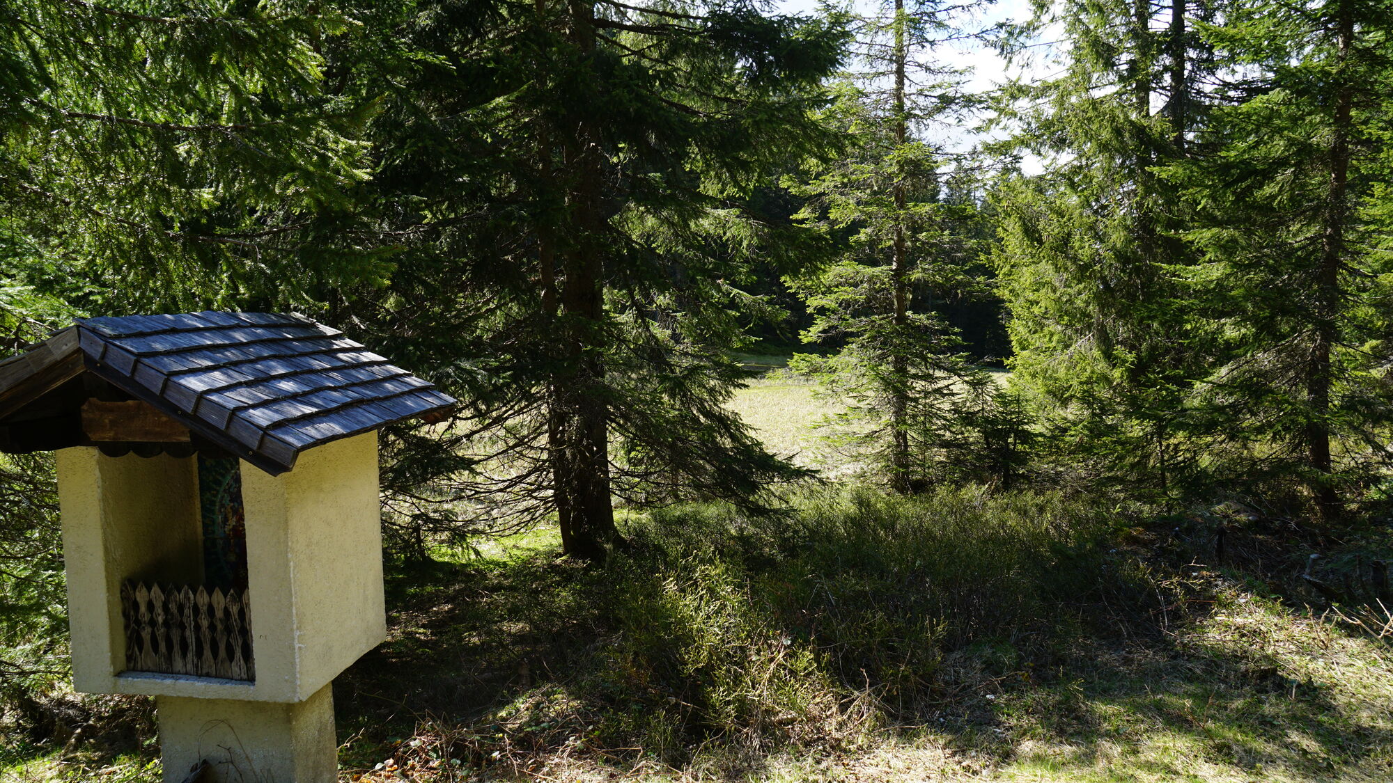 Rund um den Gerzkopf - BERGFEX - E-MTB - Tour Salzburger Land