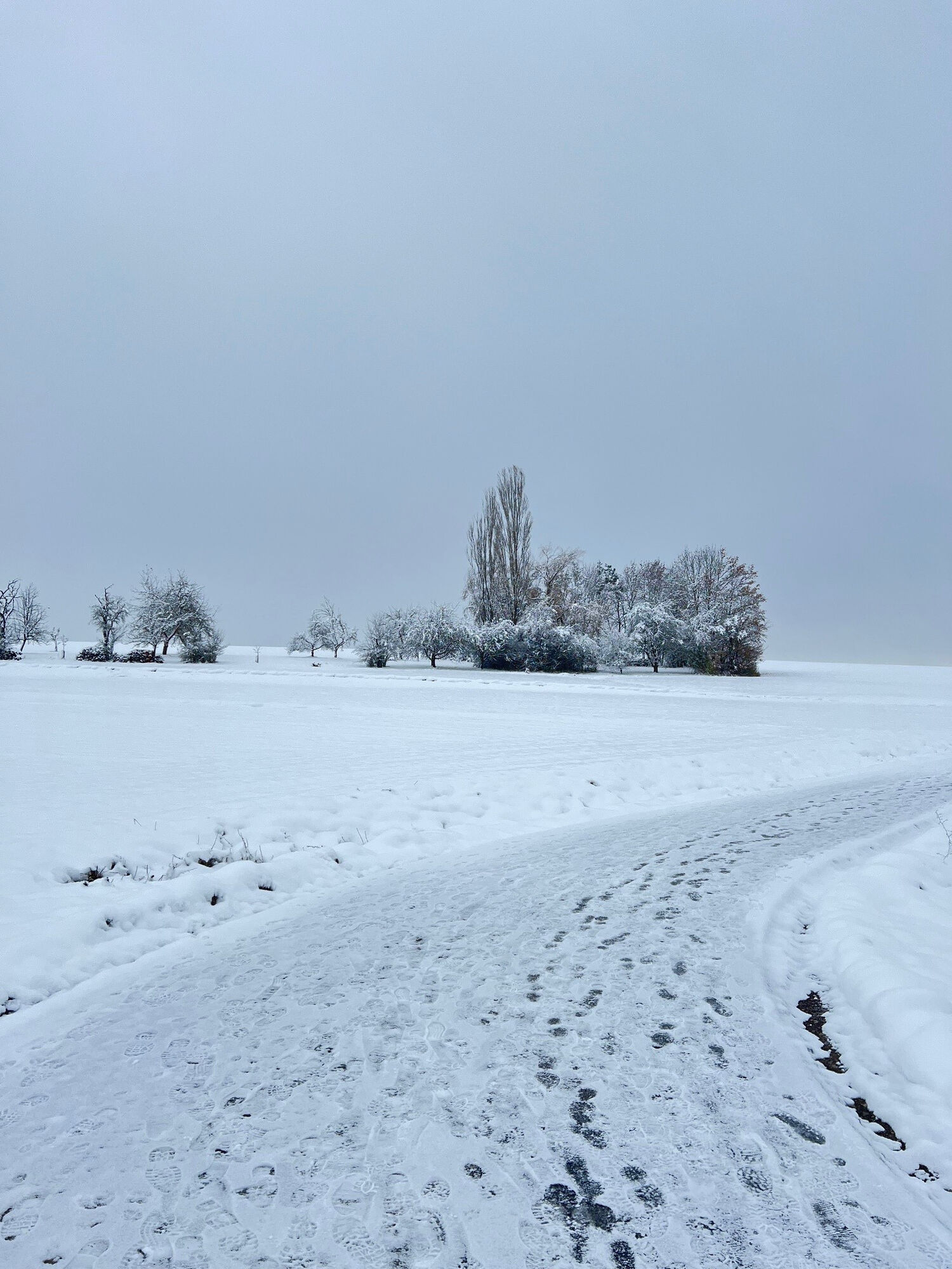 Rundweg "Bisinger Berg" in Bisingen - Wanderung Baden-Württemberg - bergfex