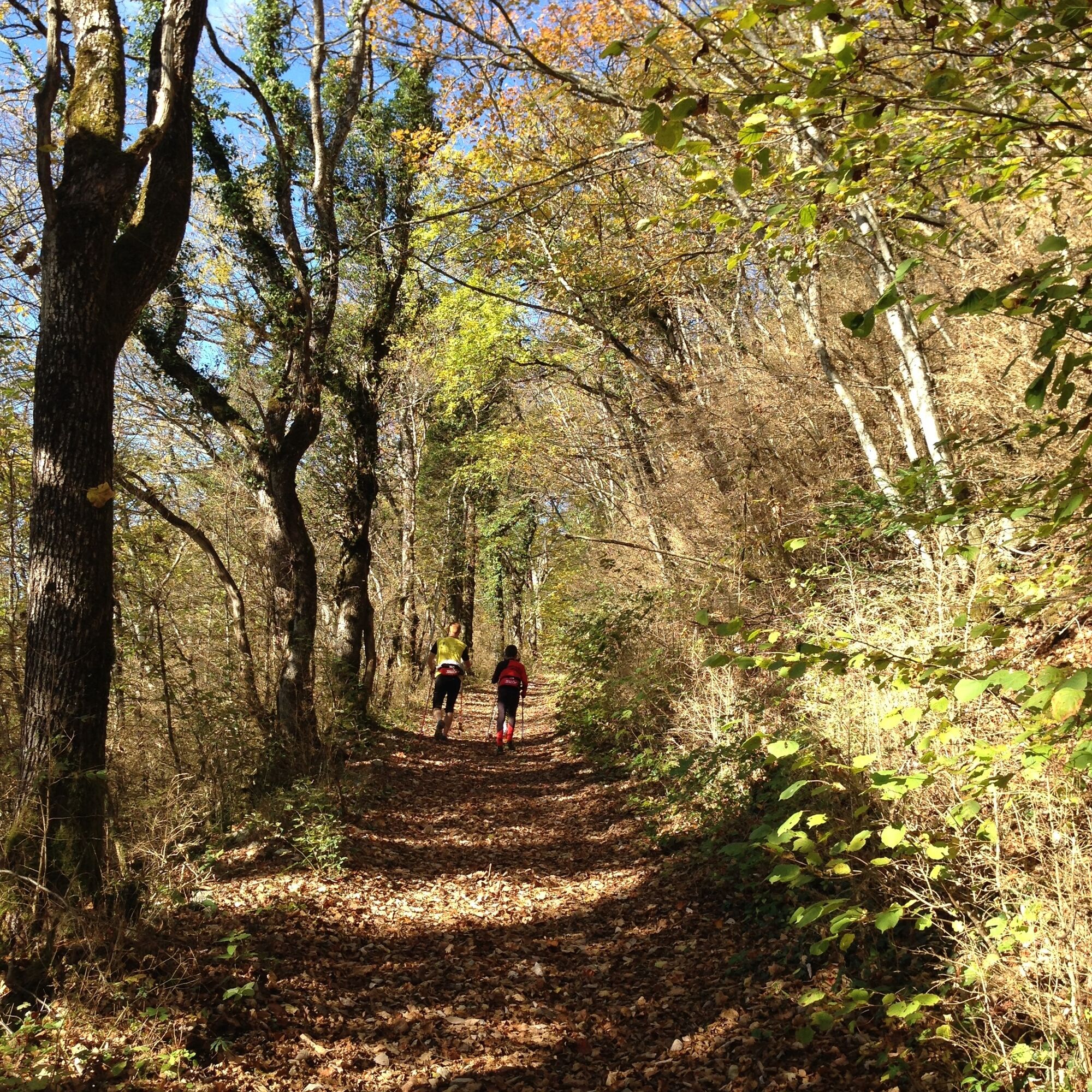 Running trail: climb of the Grand Colombier from Culoz - Trailrunning ...