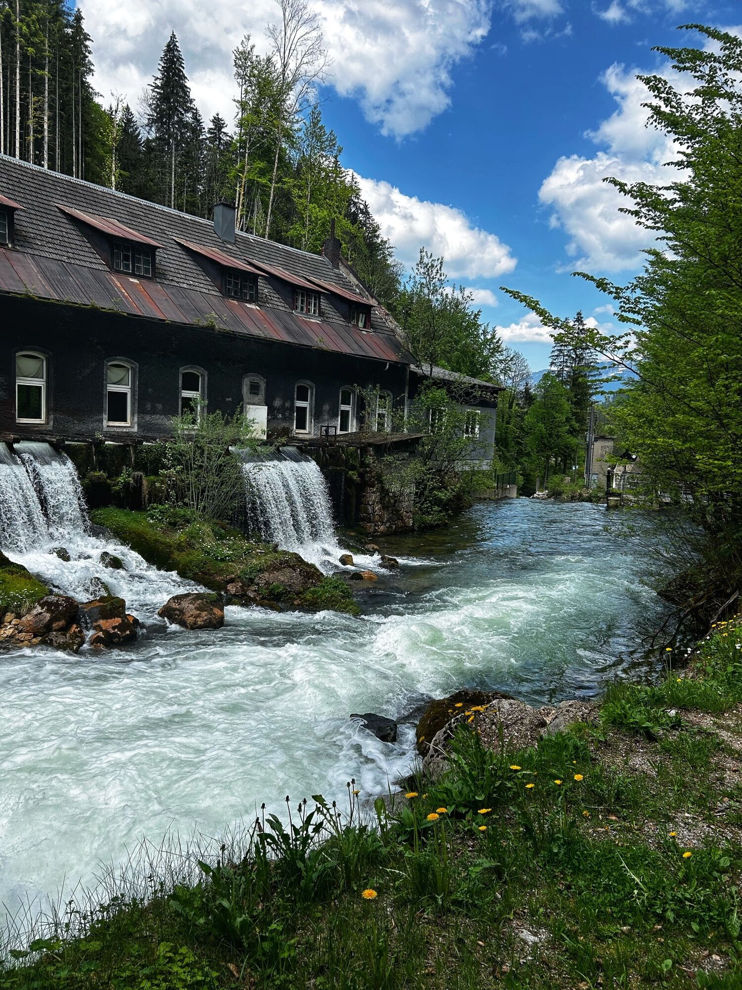 Pießling Ursprung-Gleinkersee - BERGFEX - Wanderung - Tour Oberösterreich