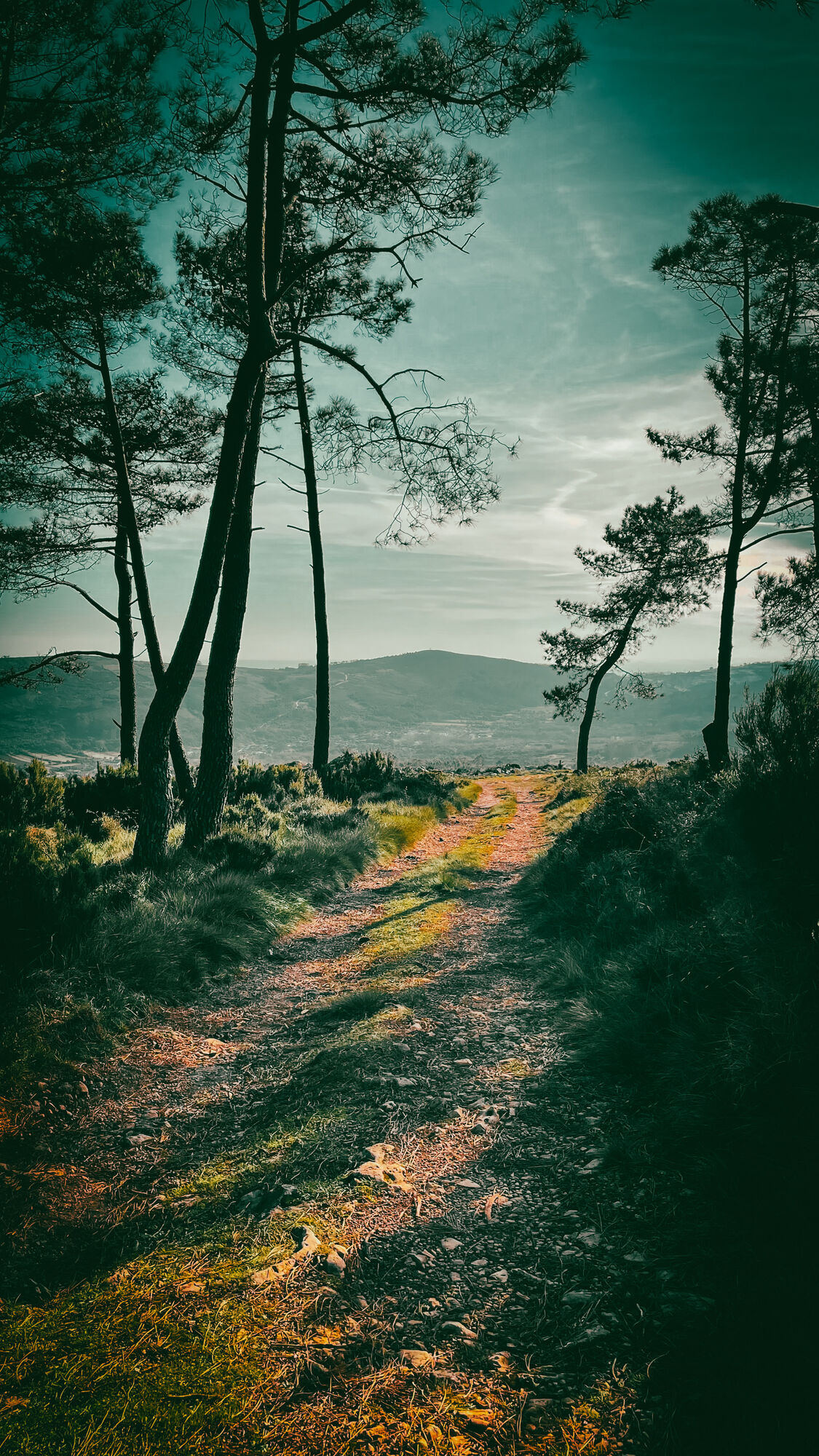 Estreia Tempero - Cabeço Gordo - Arrimal - Lua - Wanderung Leiria - bergfex
