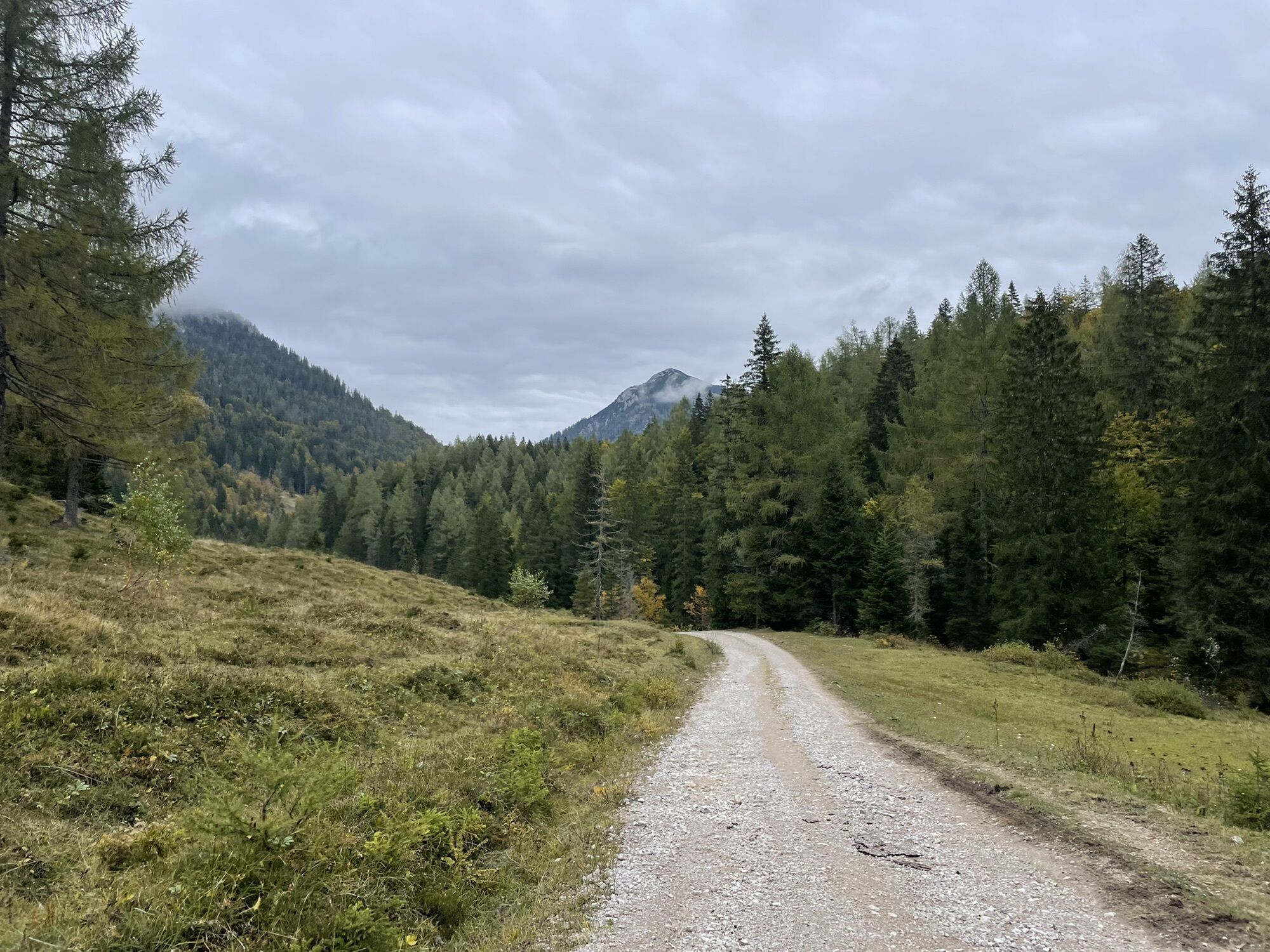 3 Almen-Tour + - BERGFEX - Wanderung - Tour Oberösterreich