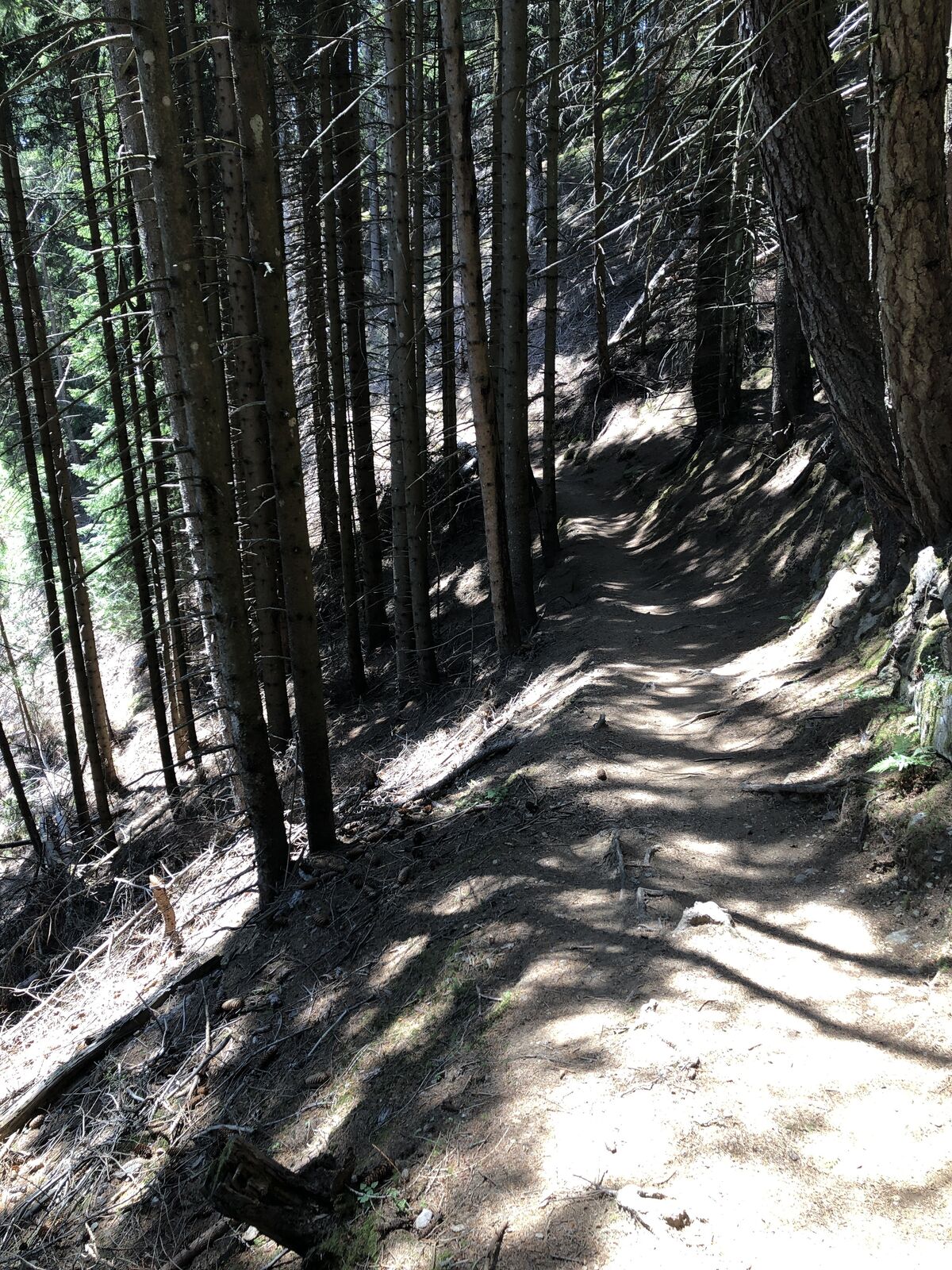 Schenna - Scenna Taser Ifingerhütte Alto Adige/Südtirol/Italia ...
