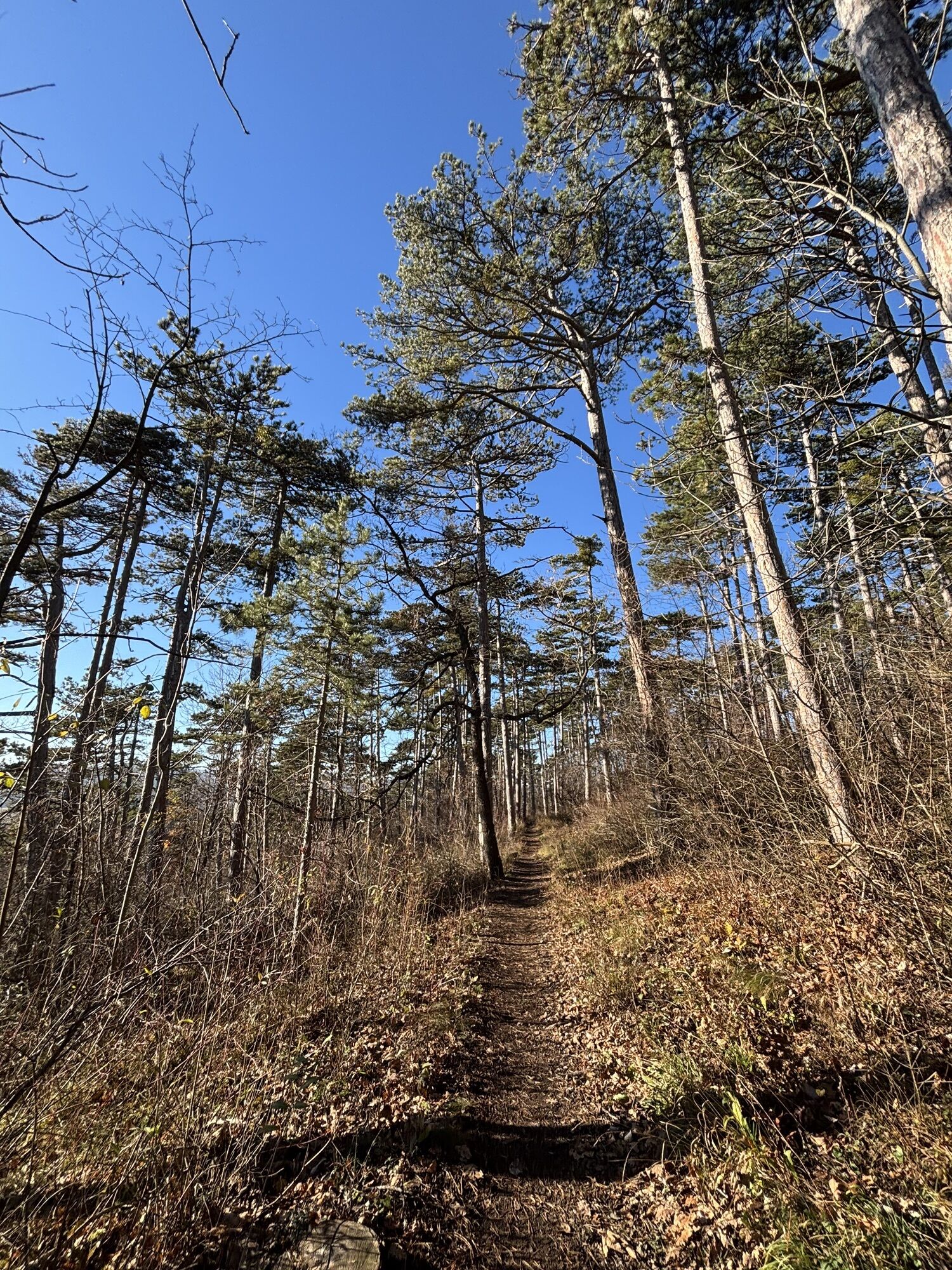 Bad Vöslau Merkenstein Hausberg Großau RDW - Wanderung Niederösterreich ...