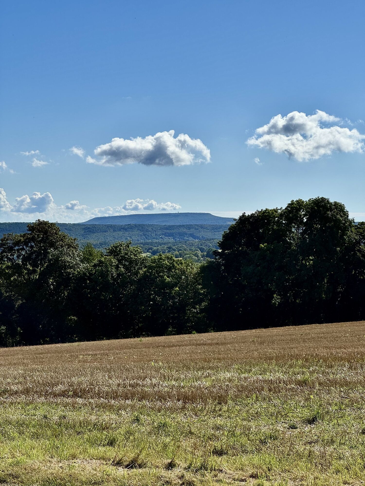 Runde zum Spicak (Sattelberg) - Turistika Sasko - bergfex