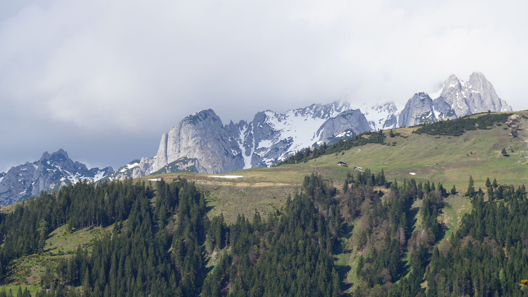 Rund um den Gerzkopf - BERGFEX - E-MTB - Tour Salzburger Land