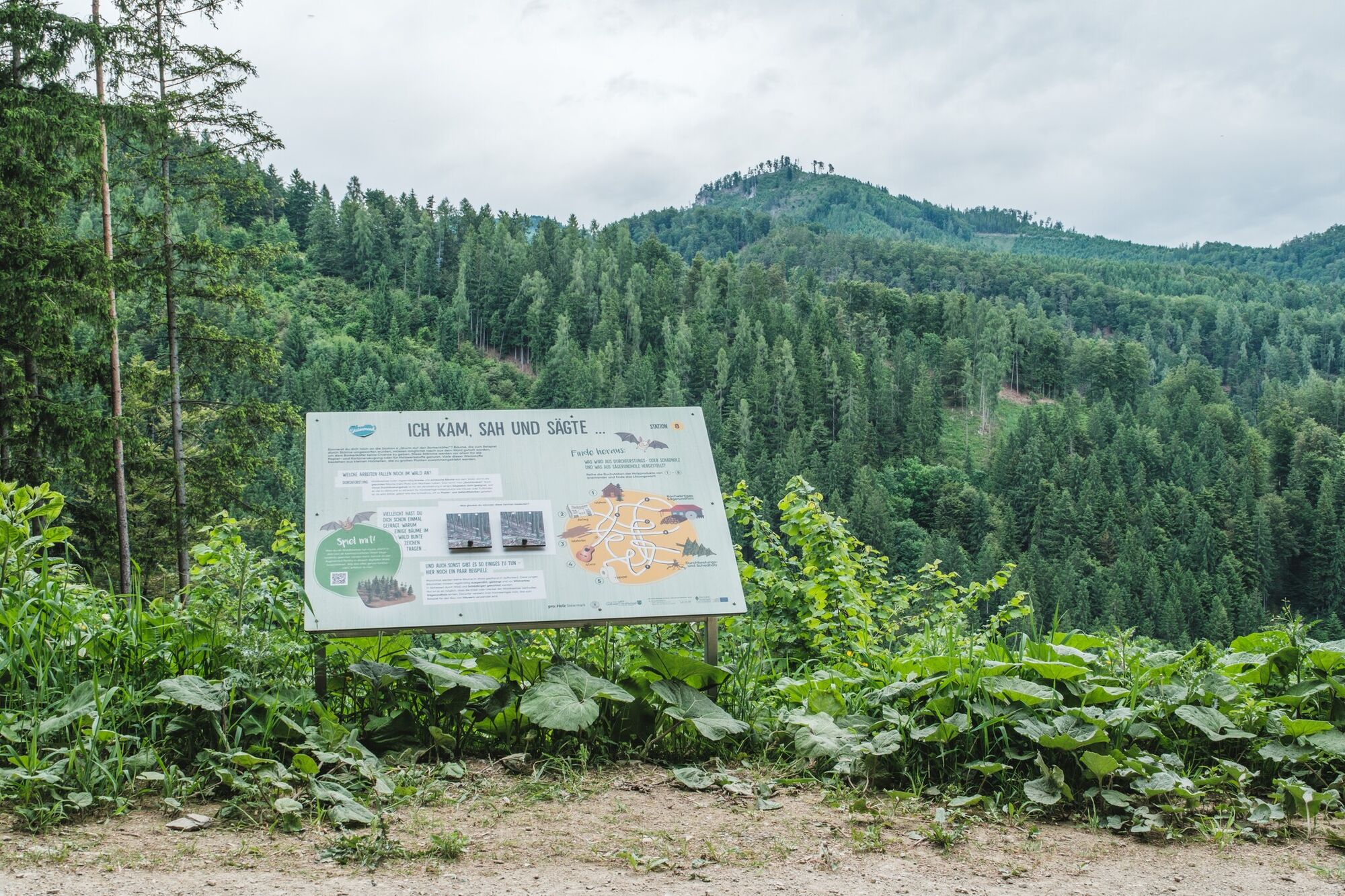 Rein in den Wald - ein Erlebnispfad - Wanderung Steiermark - bergfex