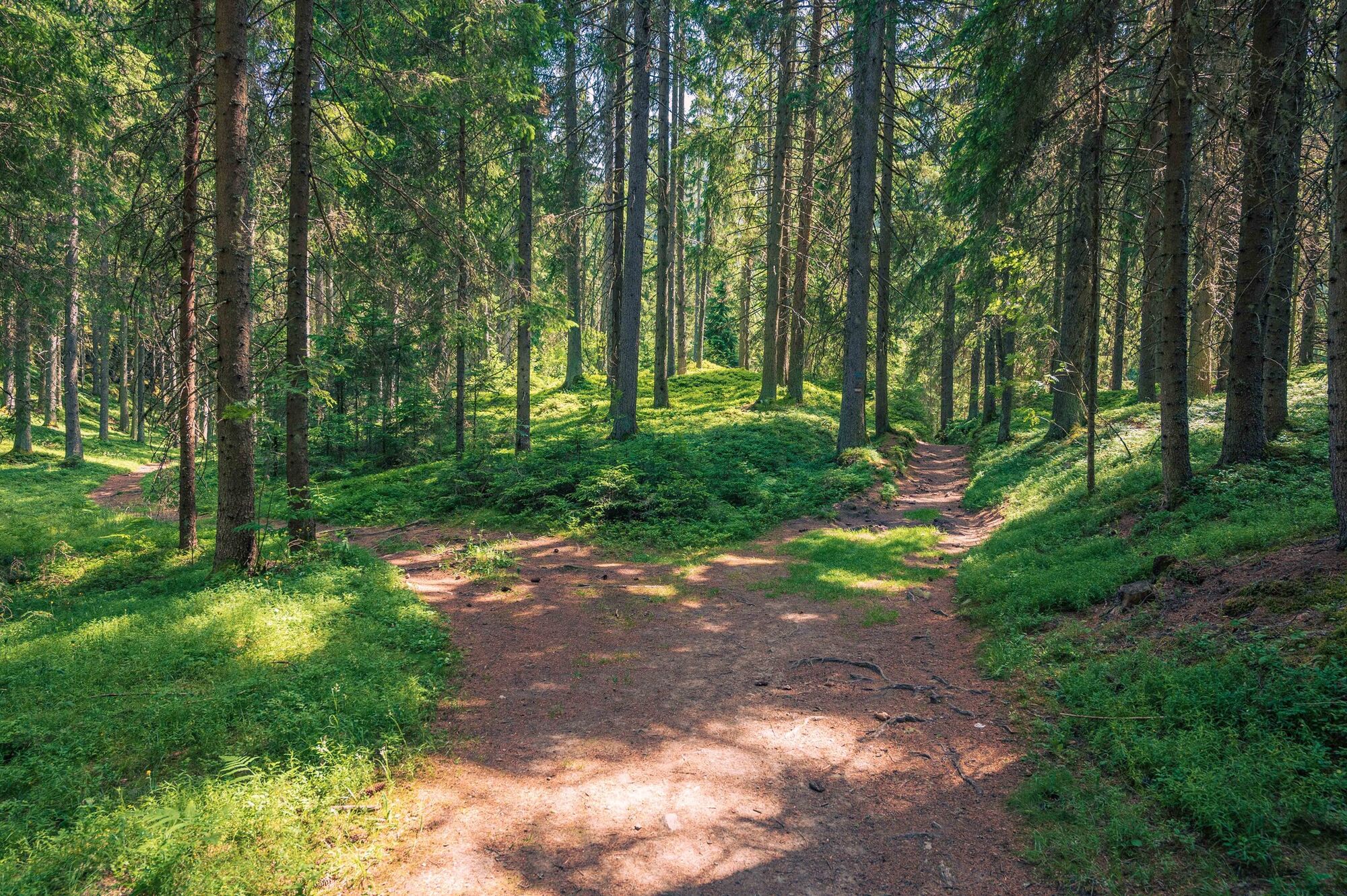 Kalkberg-Runde - Wanderung Steiermark - bergfex
