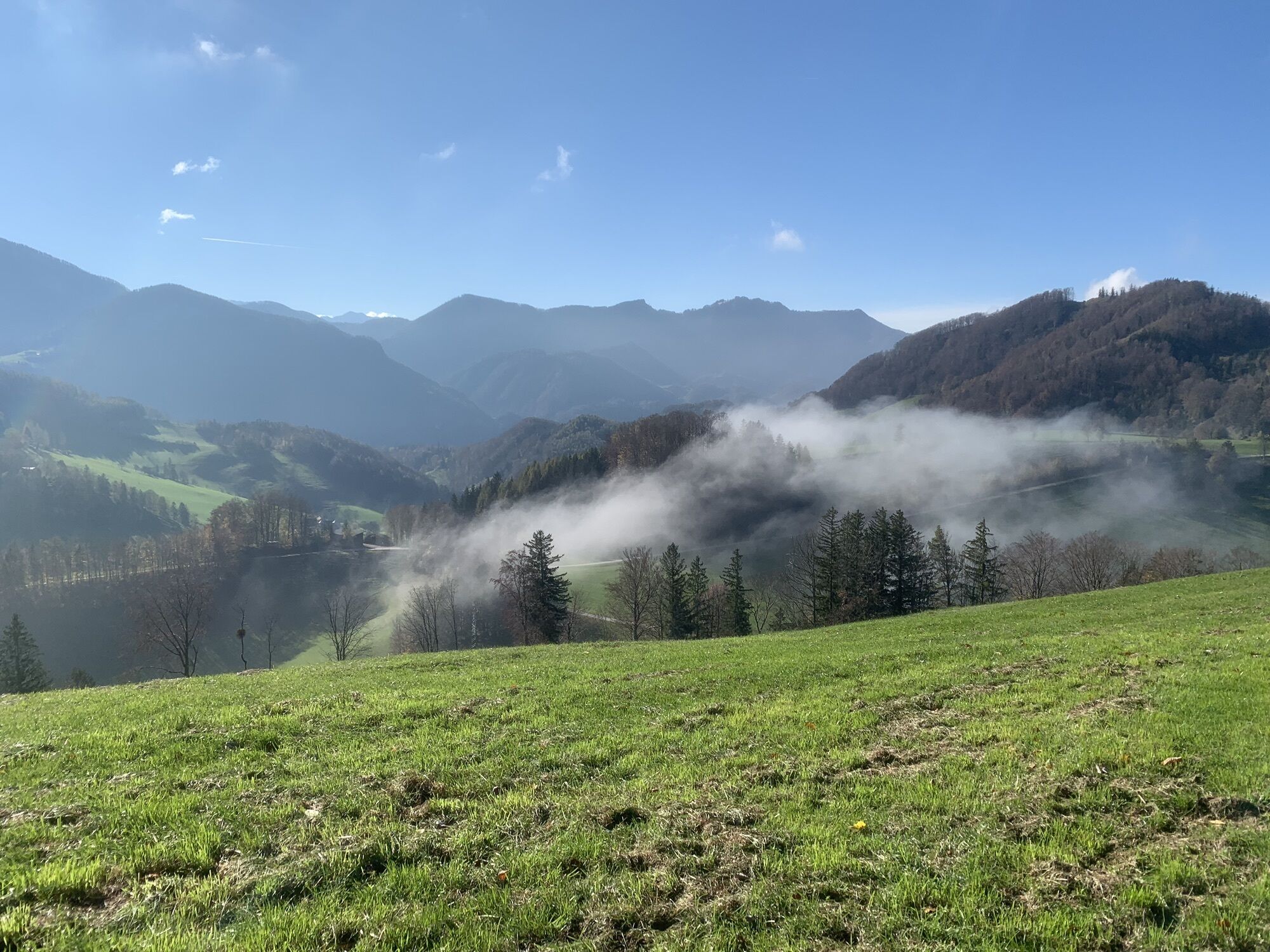 Jagdstein-Schönleitnerhöhe-Rebenstein-Runde - Wanderung Oberösterreich ...