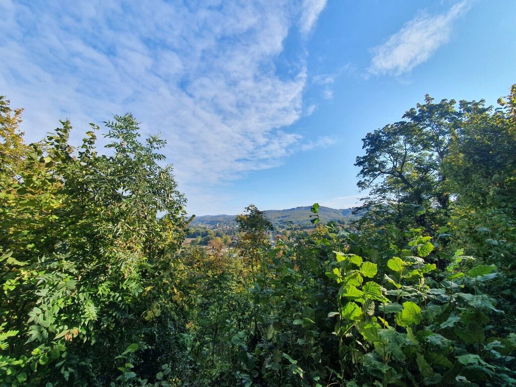 Egon Schiele-Rundweg in Neulengbach - Themenweg Niederösterreich - bergfex
