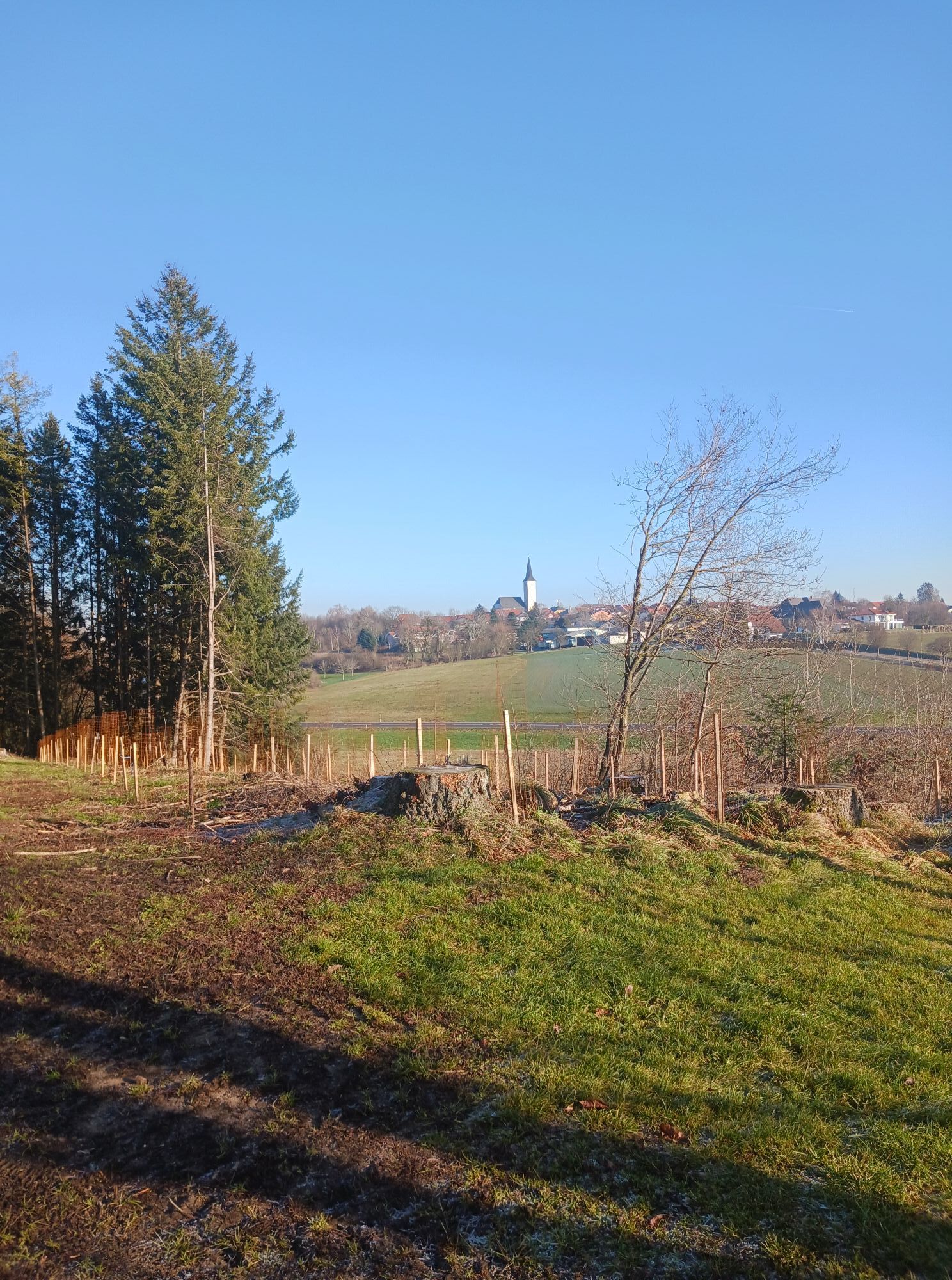 Neukirchen am Walde, Panoramaweg - BERGFEX - Pohodništvo - Turneja ...