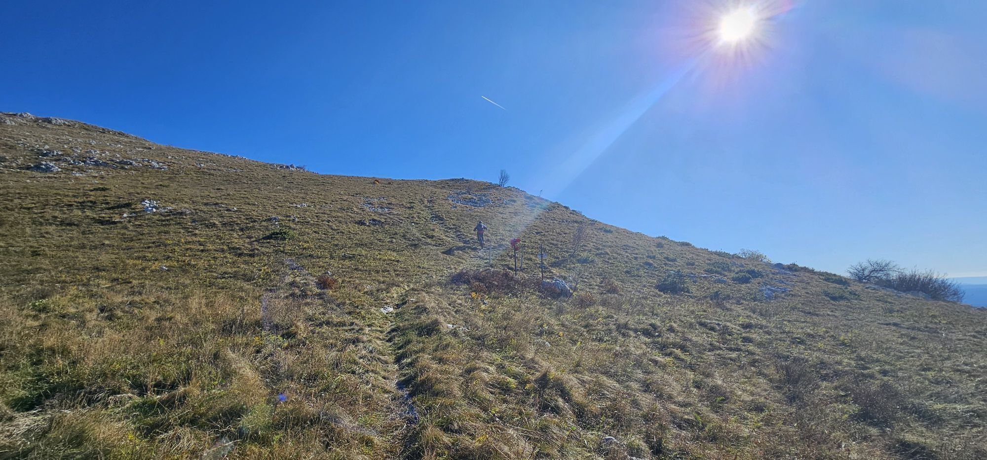 ULTRA TRAIL VIPAVA VALLEY I FEEL SLOVENIA 2025 - 110 CENTURION ...