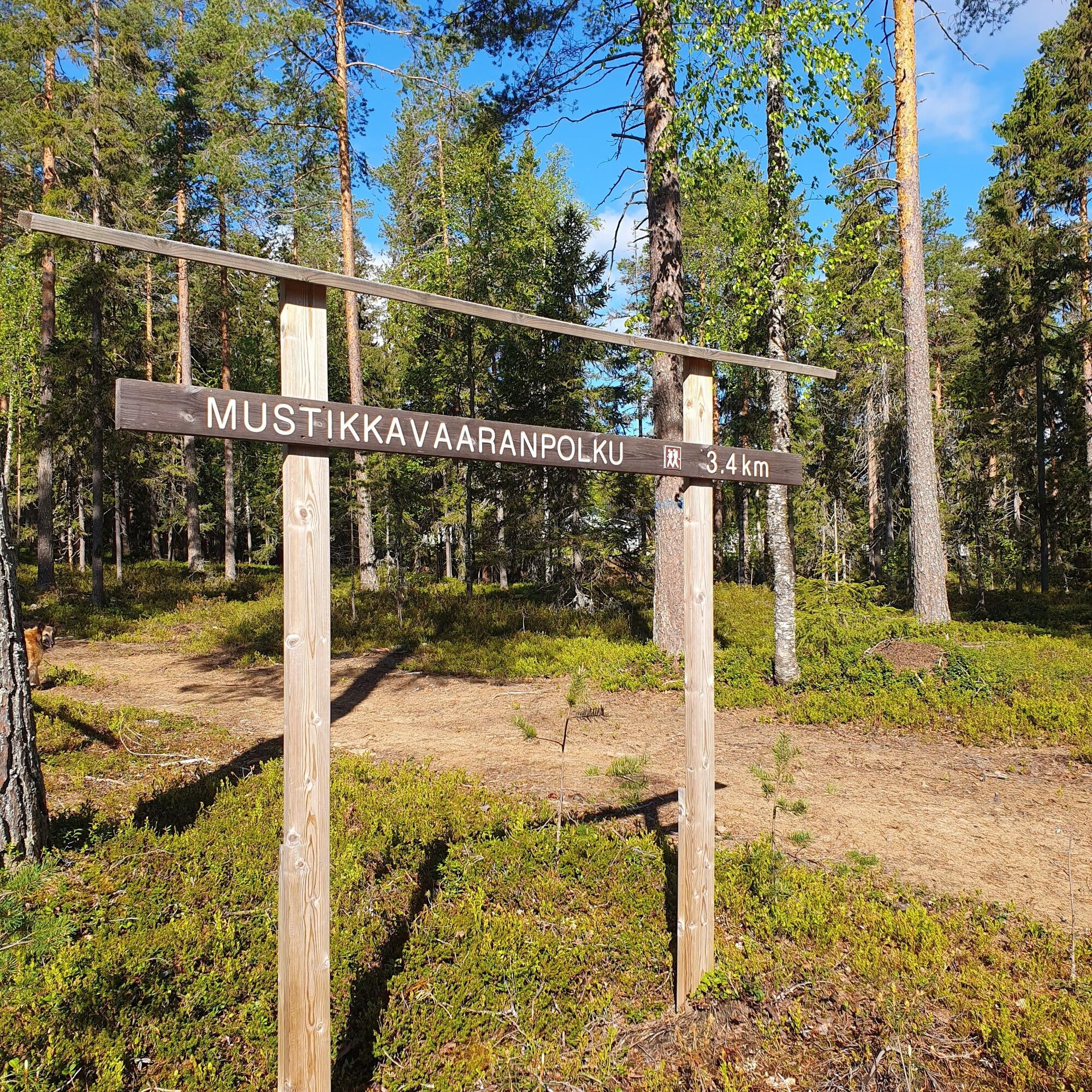 Mustikkavaaranpfad 3,5 km, Paljakka-Puolanka - Wanderung Kainuu - bergfex
