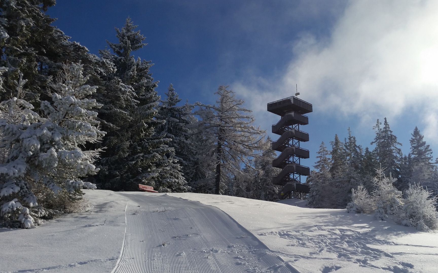 Winterroute Obsteig-Grünberg - BERGFEX - Winterwandern - Tour Tirol