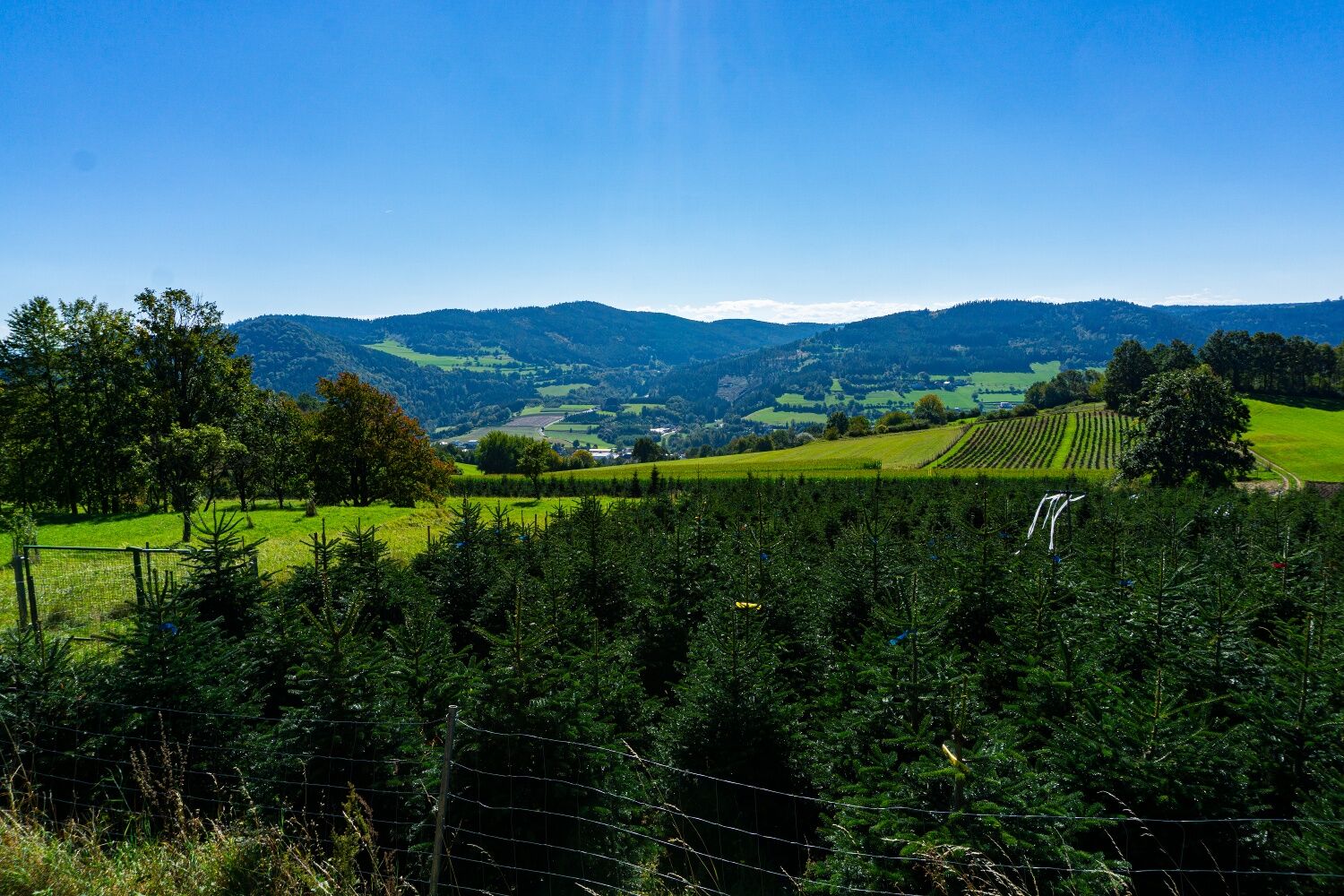 Old Post Road Path No. 63 - Pöggstall - Hiking Lower Austria - bergfex