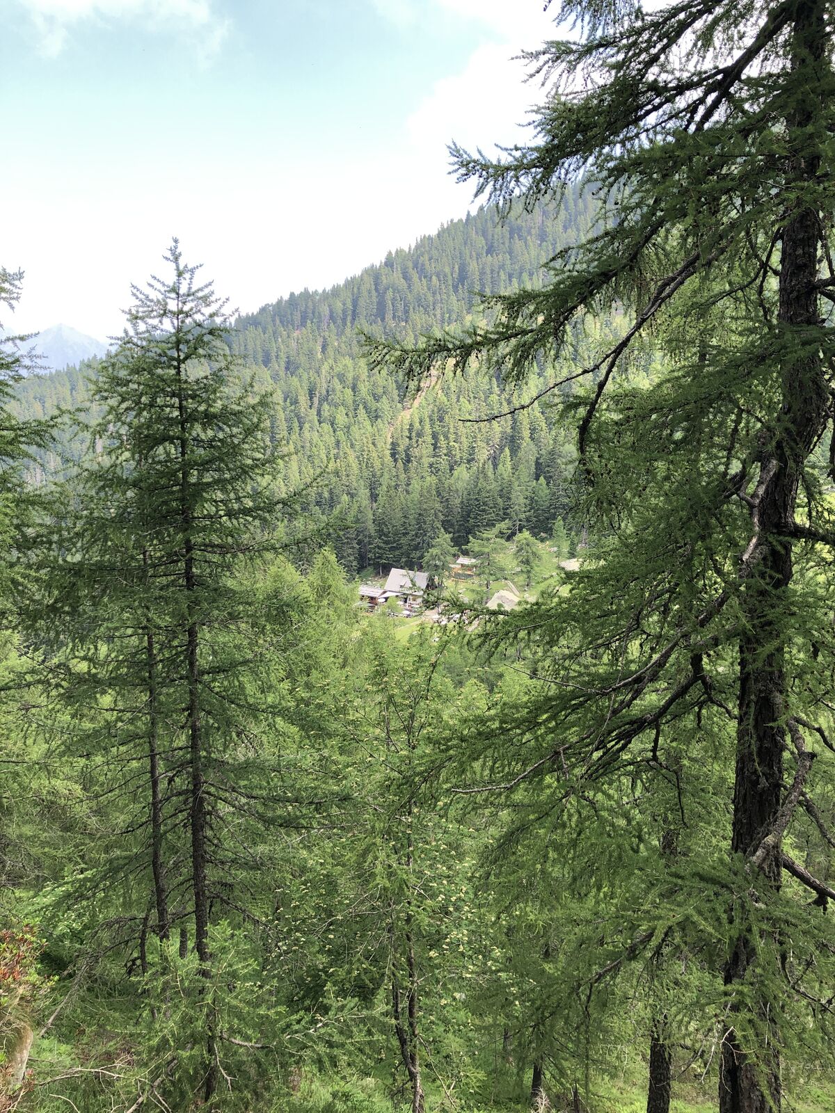 Schenna - Scenna Taser Ifingerhütte Alto Adige/Südtirol/Italia ...
