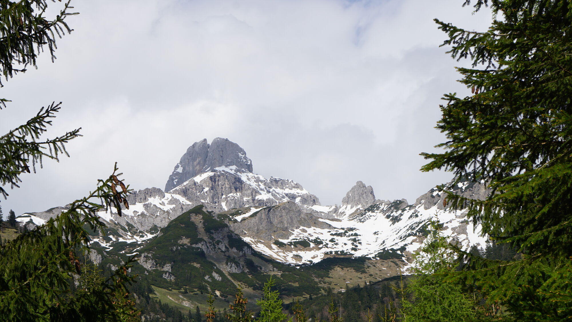 Rund um den Gerzkopf - BERGFEX - E-MTB - Tour Salzburger Land