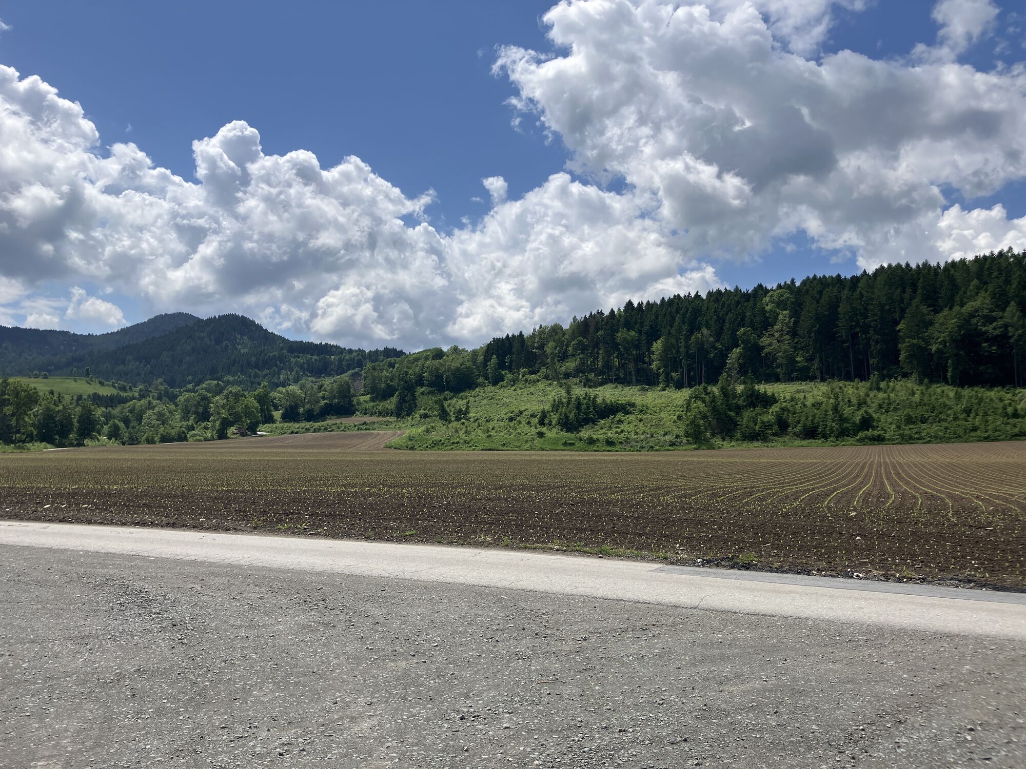 Sankt Sebastian: auf den Magdalensberg - Wanderung Kärnten - bergfex