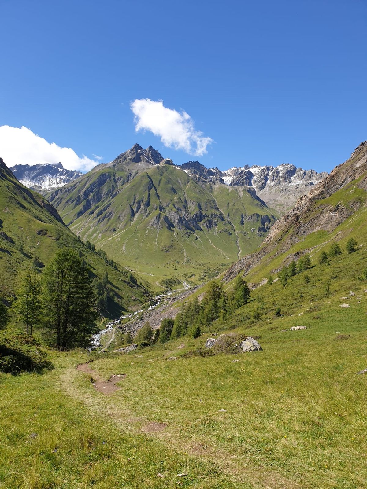 Von Ardez über die Alp Laret nach Ftan - BERGFEX - Wanderung - Tour ...