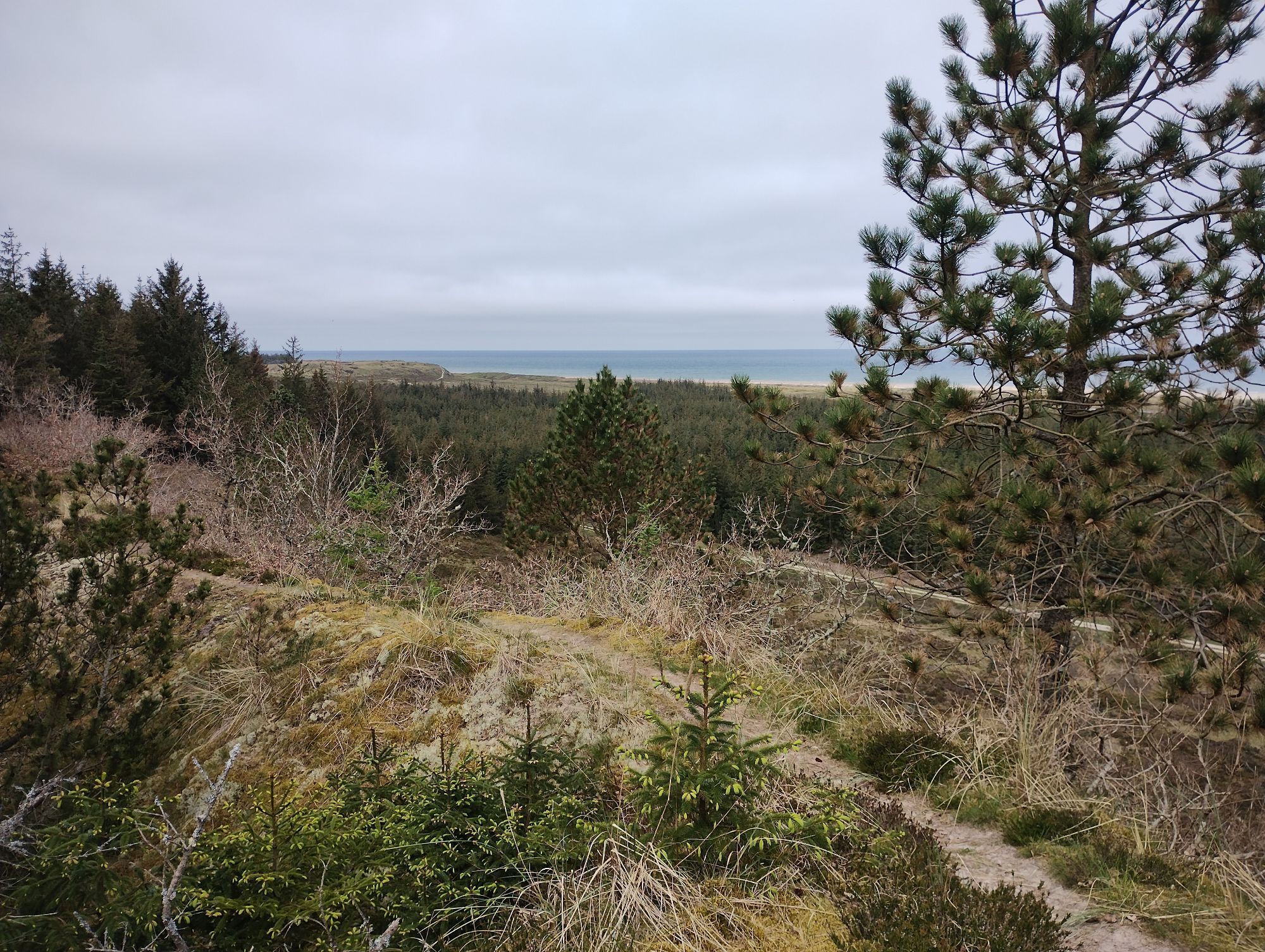 Thisted Municipality, North Denmark Region/Denmark - BERGFEX ...