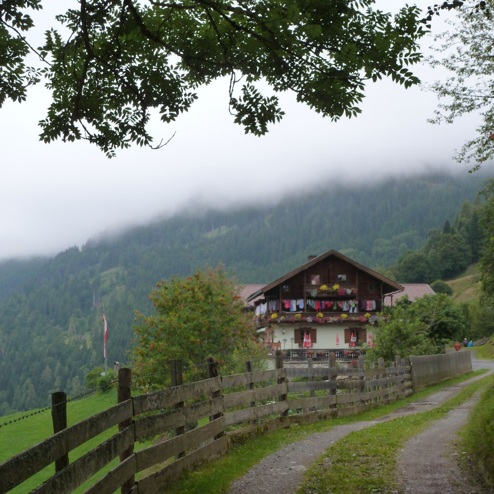 🏞️ Hike from Viehhofen via the Niederbrand Chapel to the Stablberg ...
