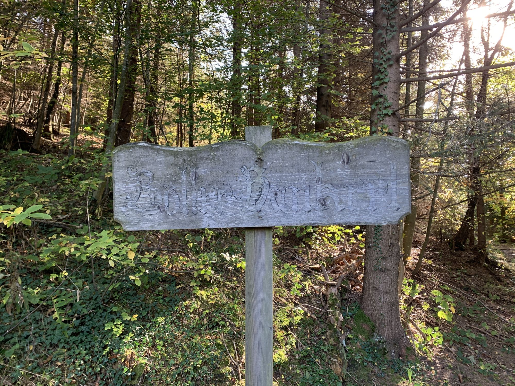 Lissingweg Route 1 Kalwang, Österreich - BERGFEX - Wanderung - Tour ...