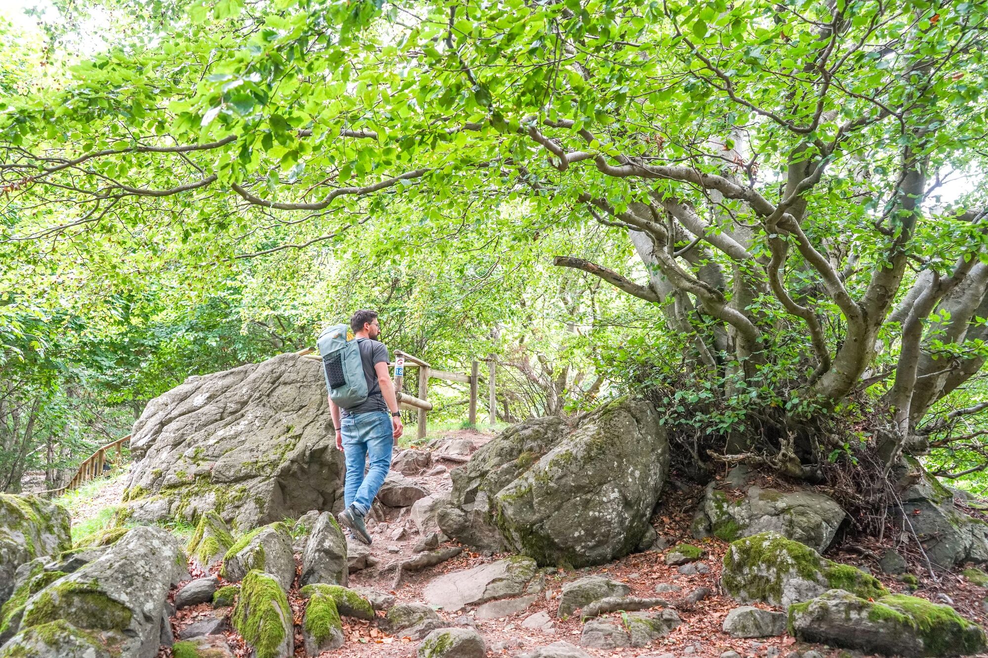 Extratour Wasserkuppe - Gersfeld - Rhön - BERGFEX - Wanderung - Tour Hessen