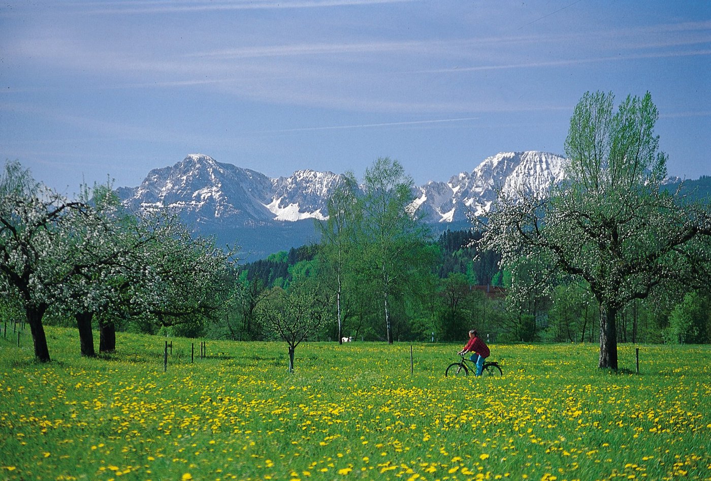 Tour um den Tachinger See - BERGFEX - Radfahren - Tour Bayern