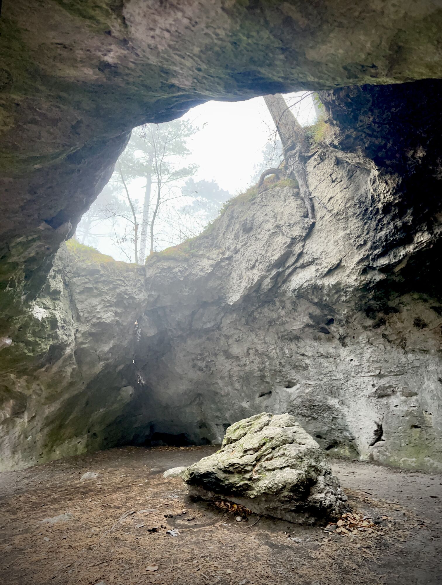 Stories from the Vienna Woods. Little Sleuth Route Baden ...