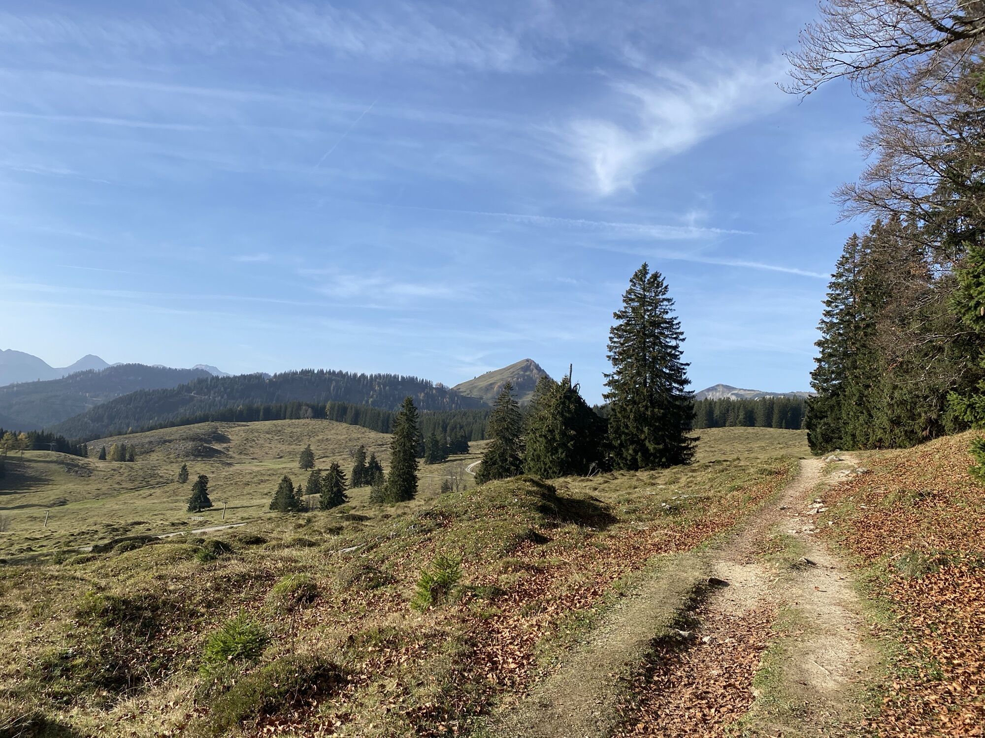 Pitschenberg - BERGFEX - Bergwandern - Tour Salzburger Land