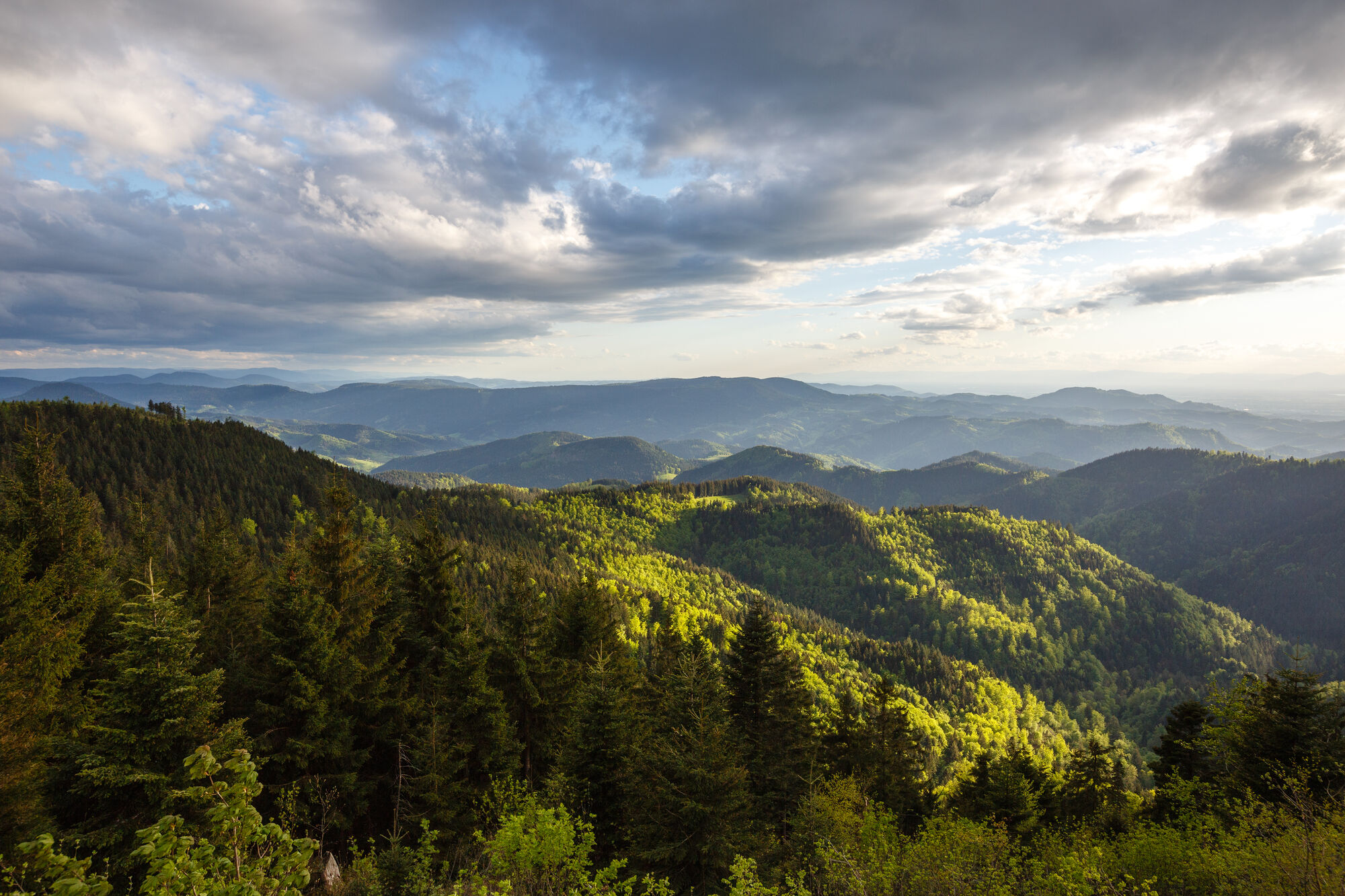 BERGFEX-Sehenswürdigkeiten - Nationalpark Schwarzwald ...