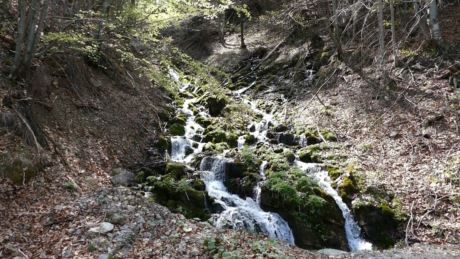 Pielach Klause 7/5 - Wanderung Niederösterreich - bergfex