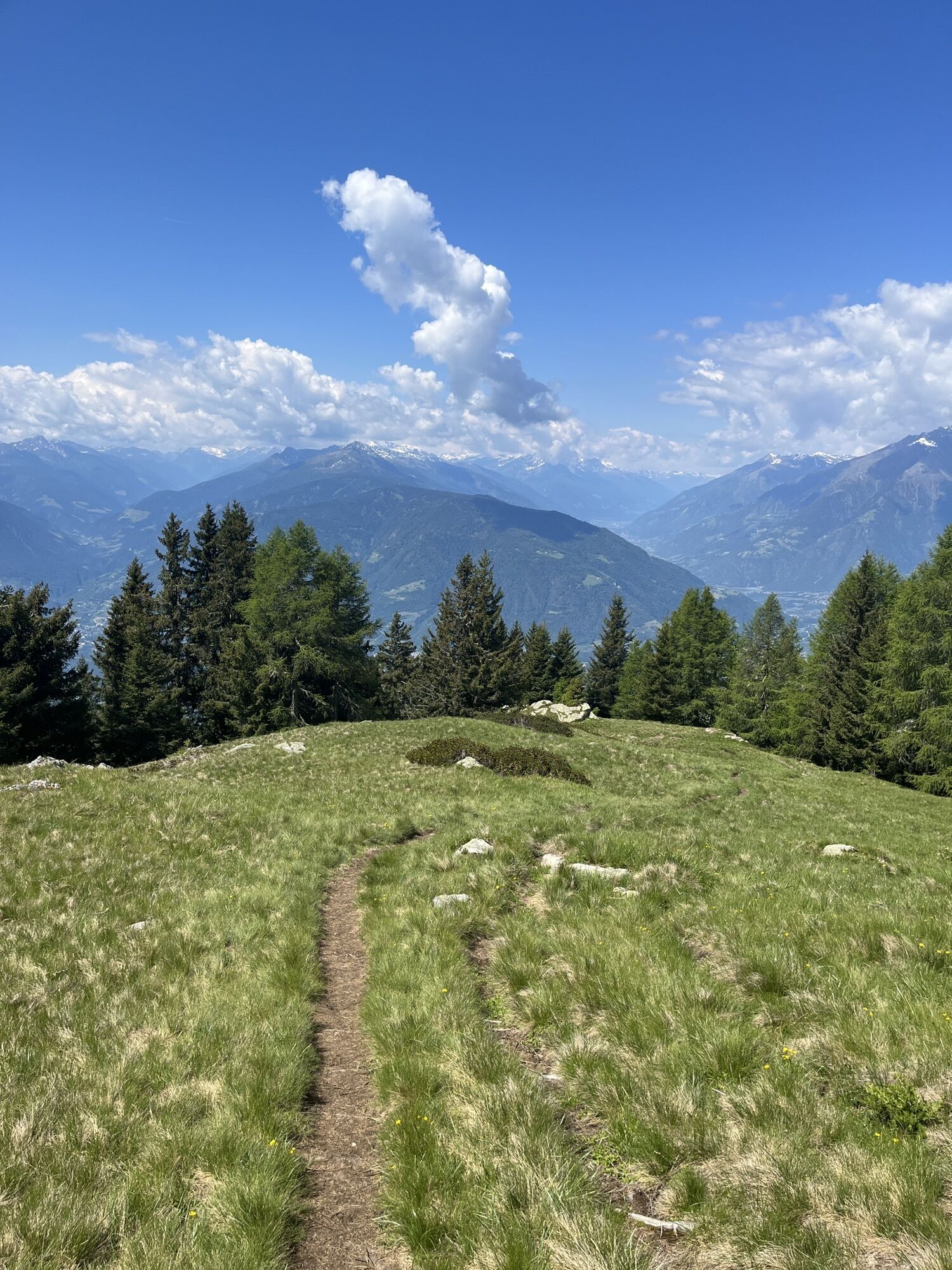 Taser über Ifinger Hütte aufs Egger Jöchl - BERGFEX - Randonnée ...