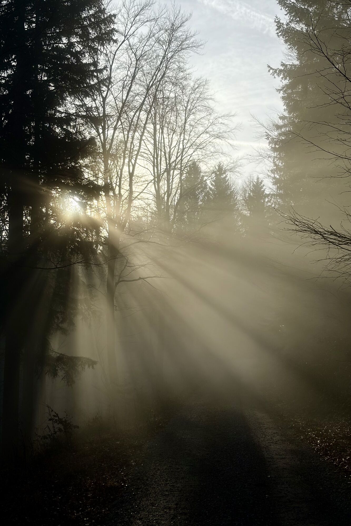 Hahnenklee - Maria Schnee - Heimberg - Wolfshagen im Harz - Wanderung ...