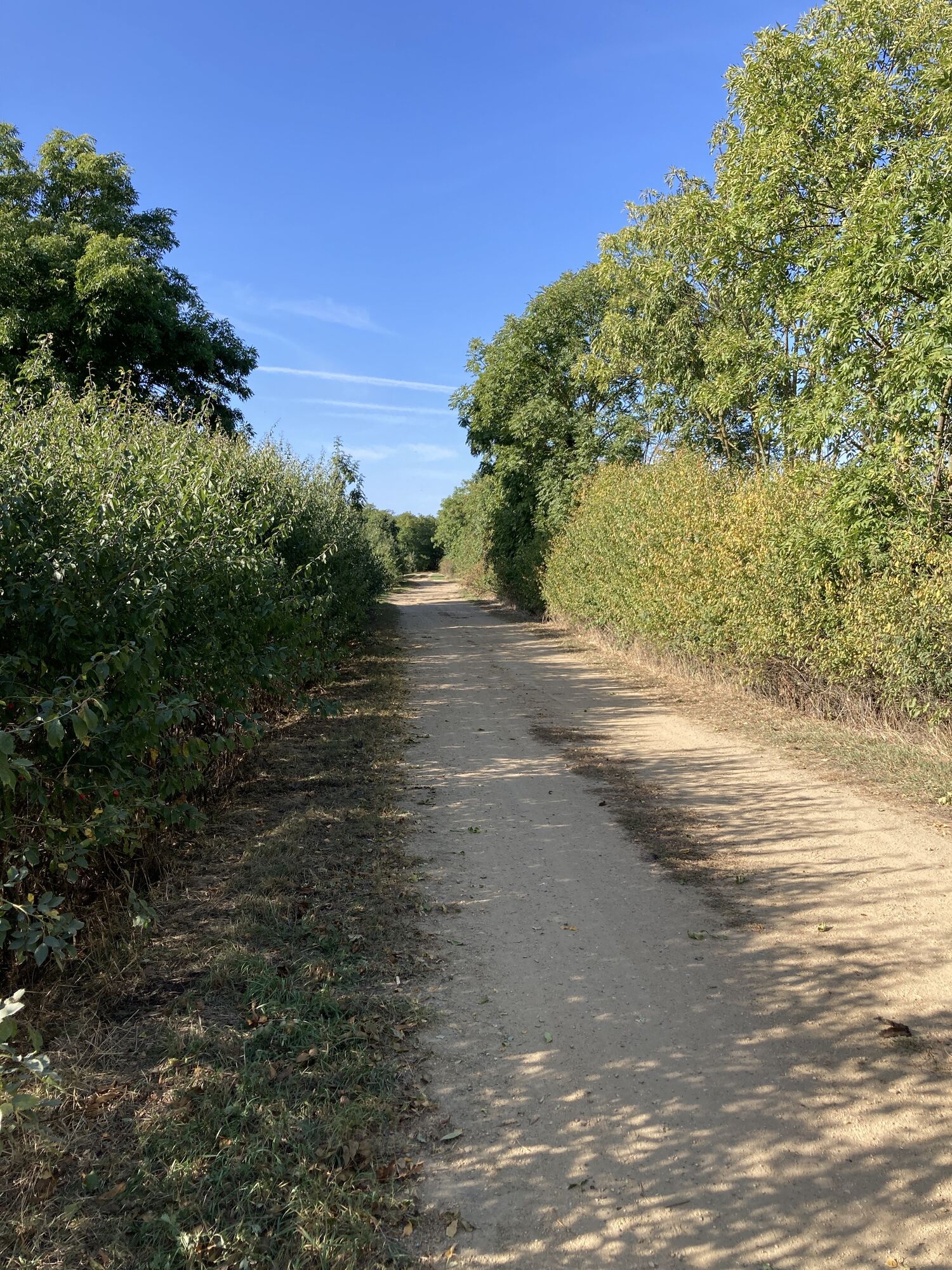 Von Laa an der Thaya nach Zwingendorf - Wanderung Niederösterreich ...