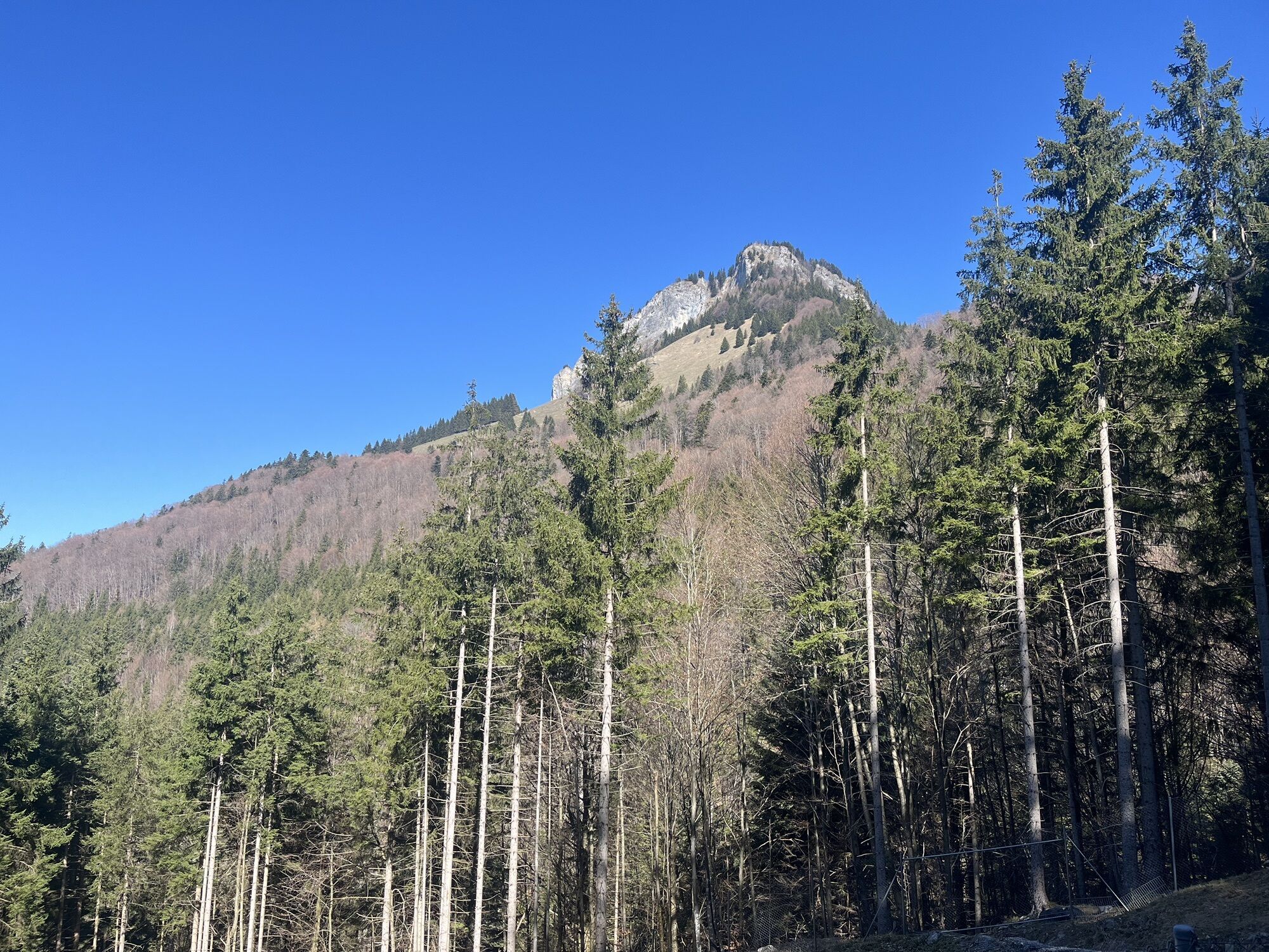 Nußdorf am Inn - Rabeneck - Pasterkopf - Gemeinde Erl - Wanderung ...