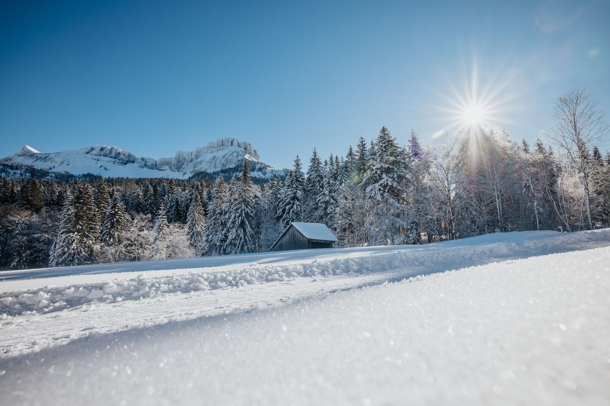 Schneeschuhwanderung in der Blaa Alm - Schneeschuh Steiermark - bergfex