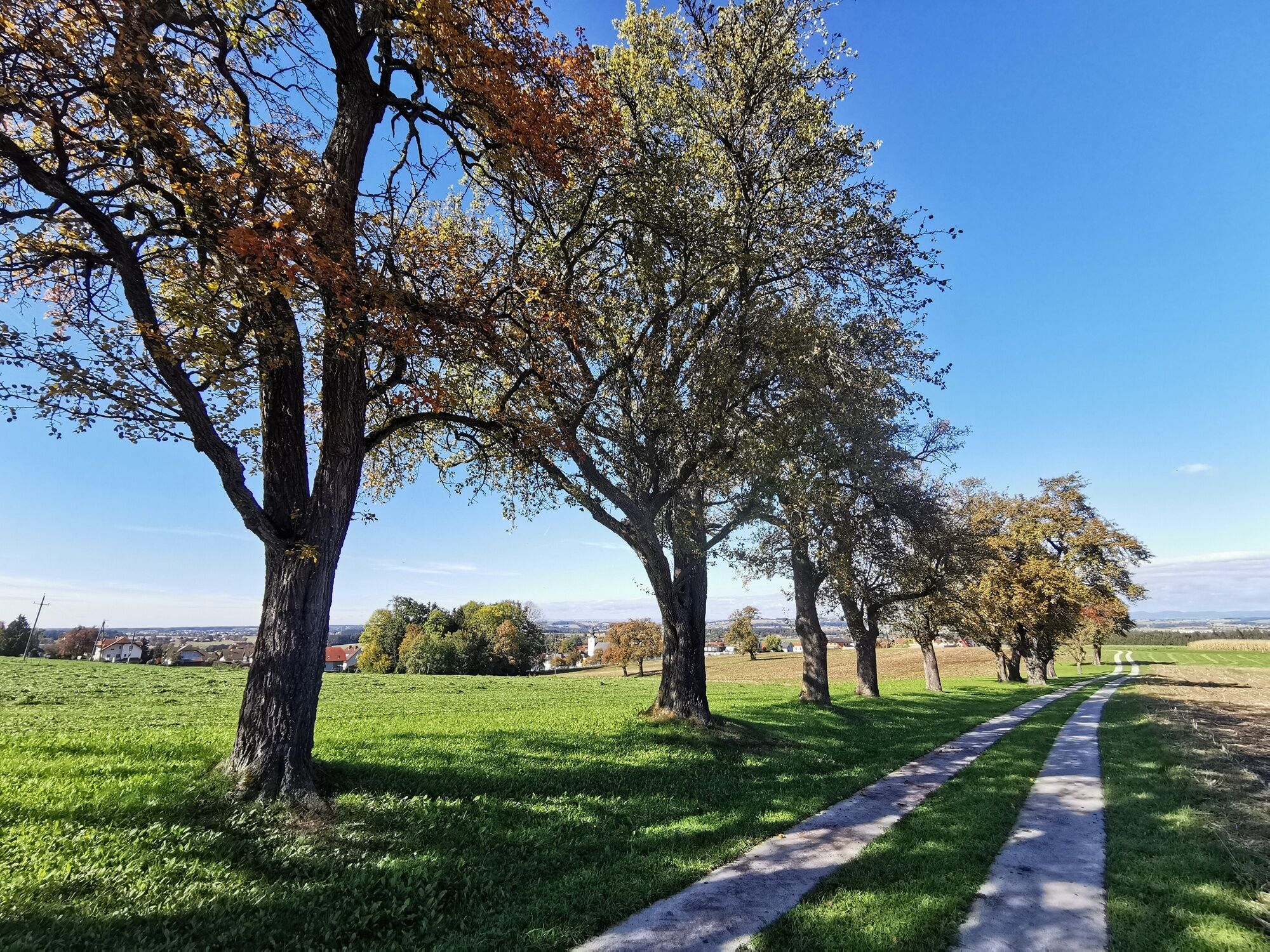 Biberbach Krausenöd Chapel Route - Thematic route Lower Austria - bergfex