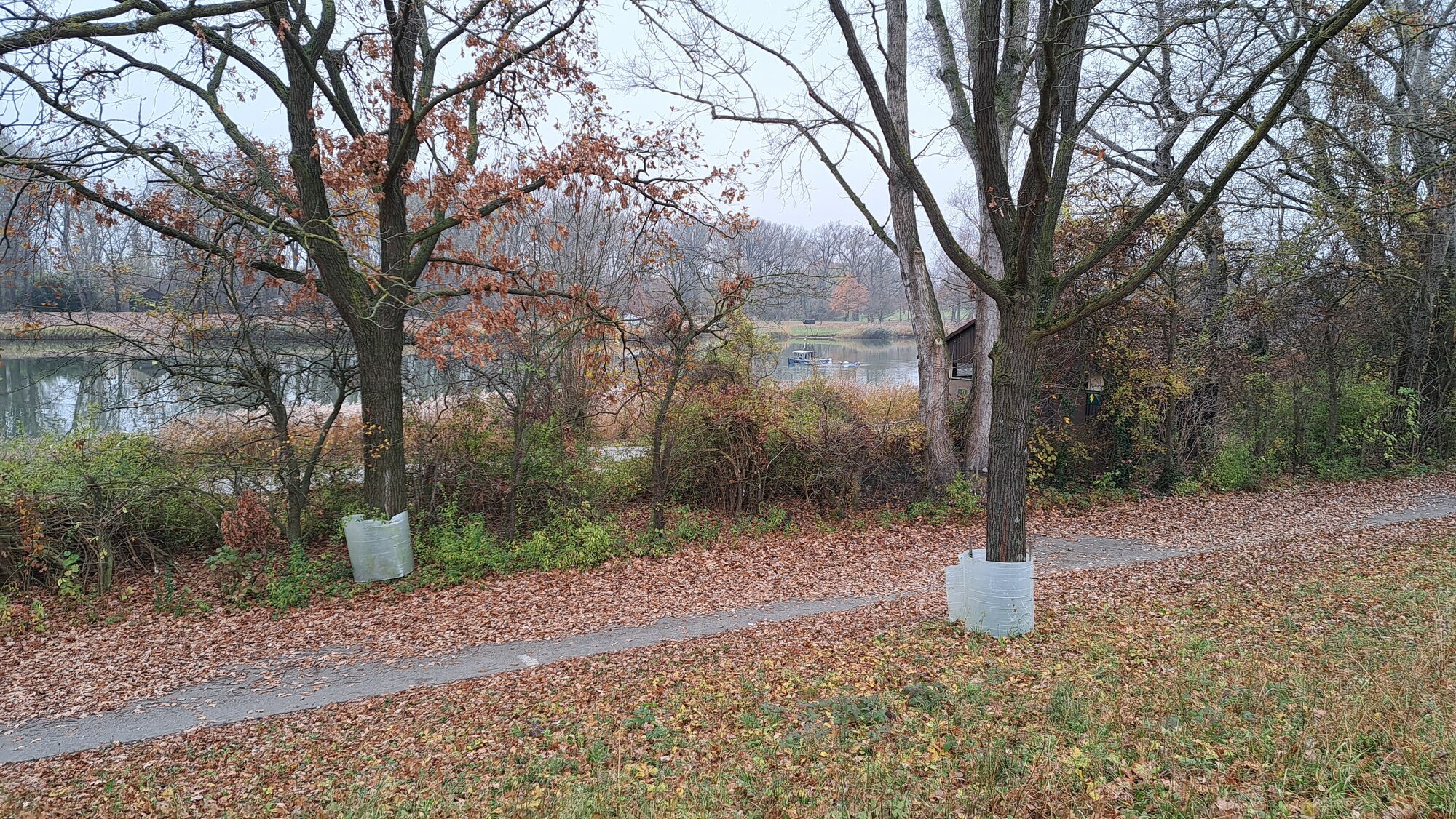 TULLN Nord Donaubrücke Donau Tulln Ost ret. 20251115 - Pohodništvo ...